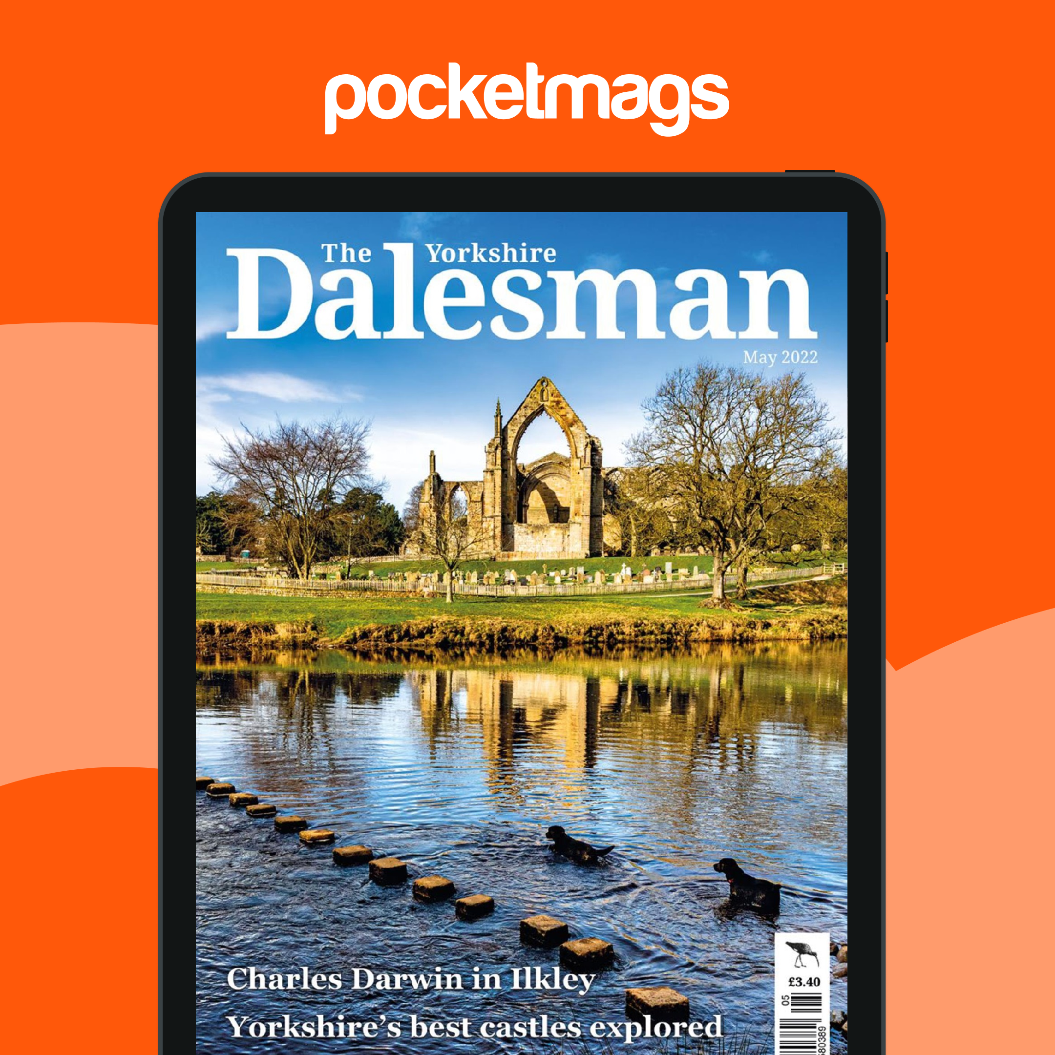 The Yorkshire Dalesman Magazine - May 2022 Edición anterior