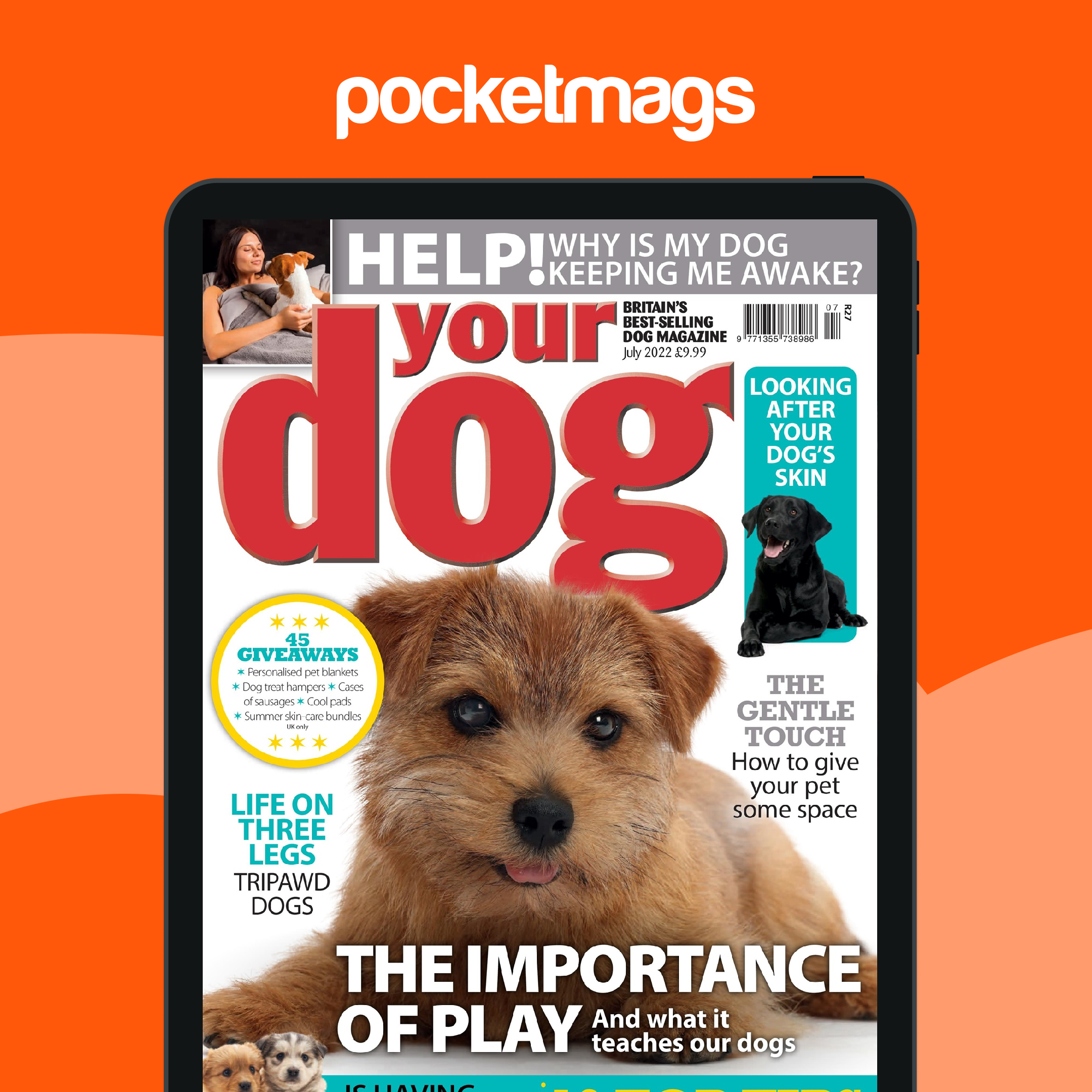 Your Dog Magazine - Your Dog Magazine July 2022 Retour à l'édition ...