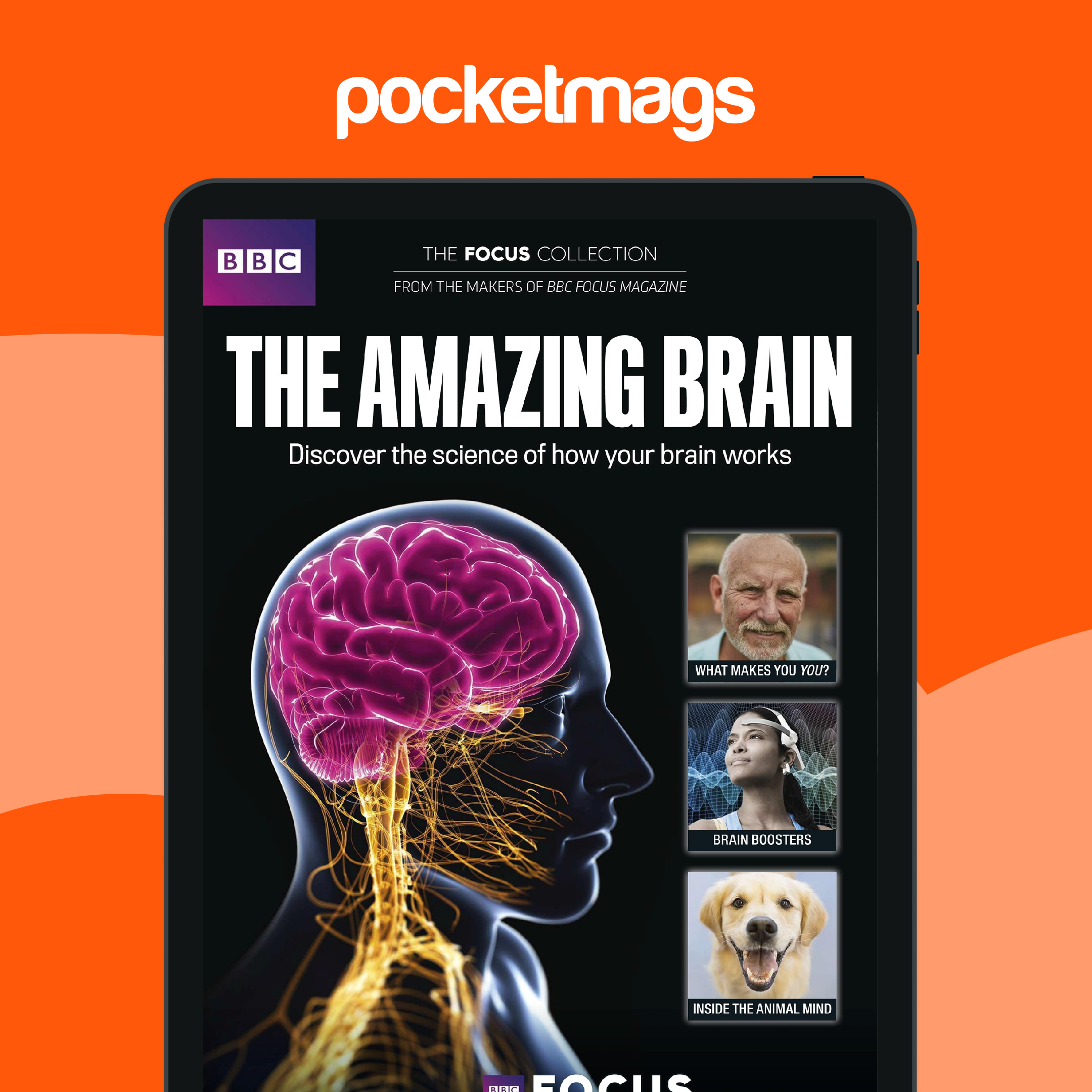 BBC Science Focus Magazine - The Amazing Brain Édition spéciale