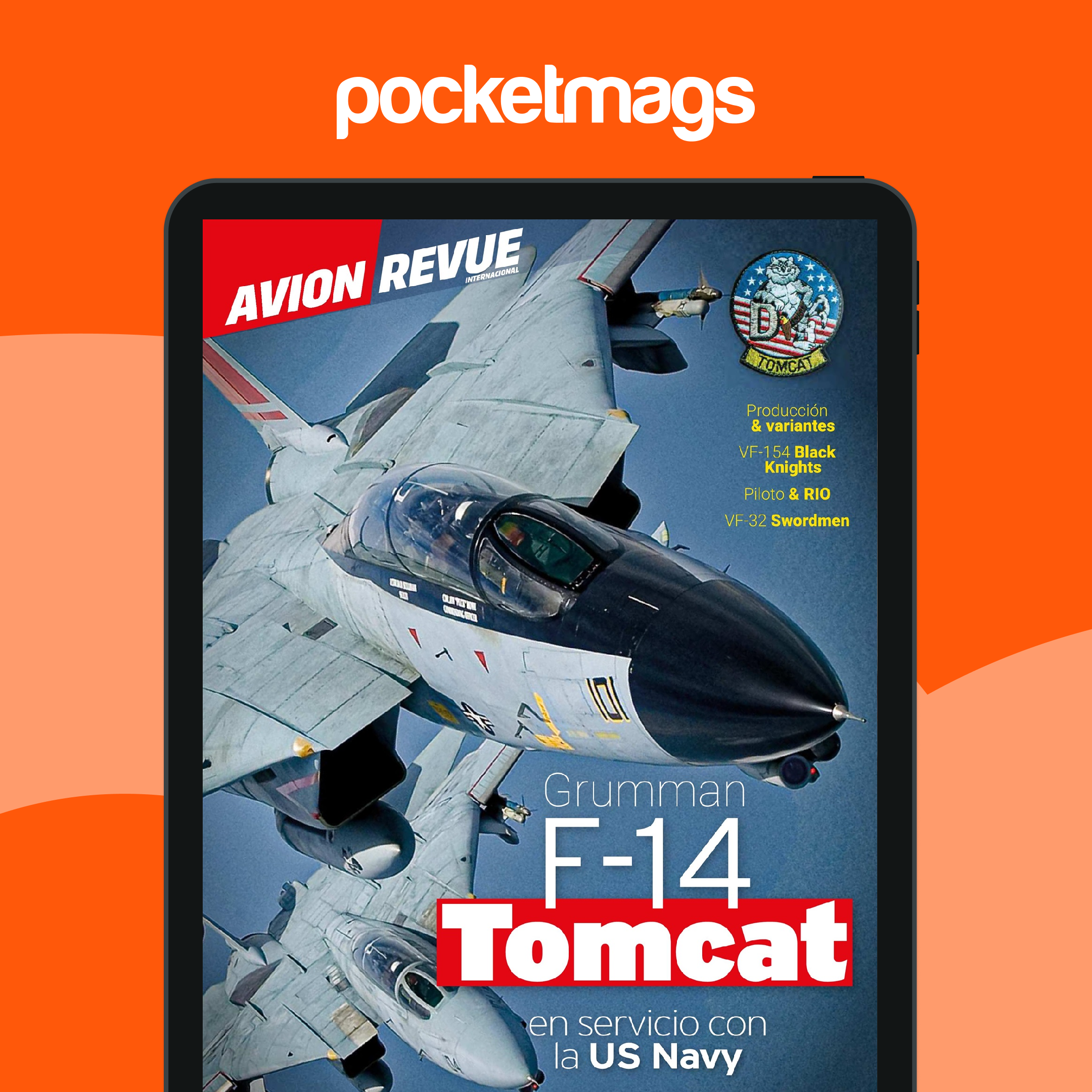 Avion Revue Internacional Magazine - F-14 Tomcat Special Issue