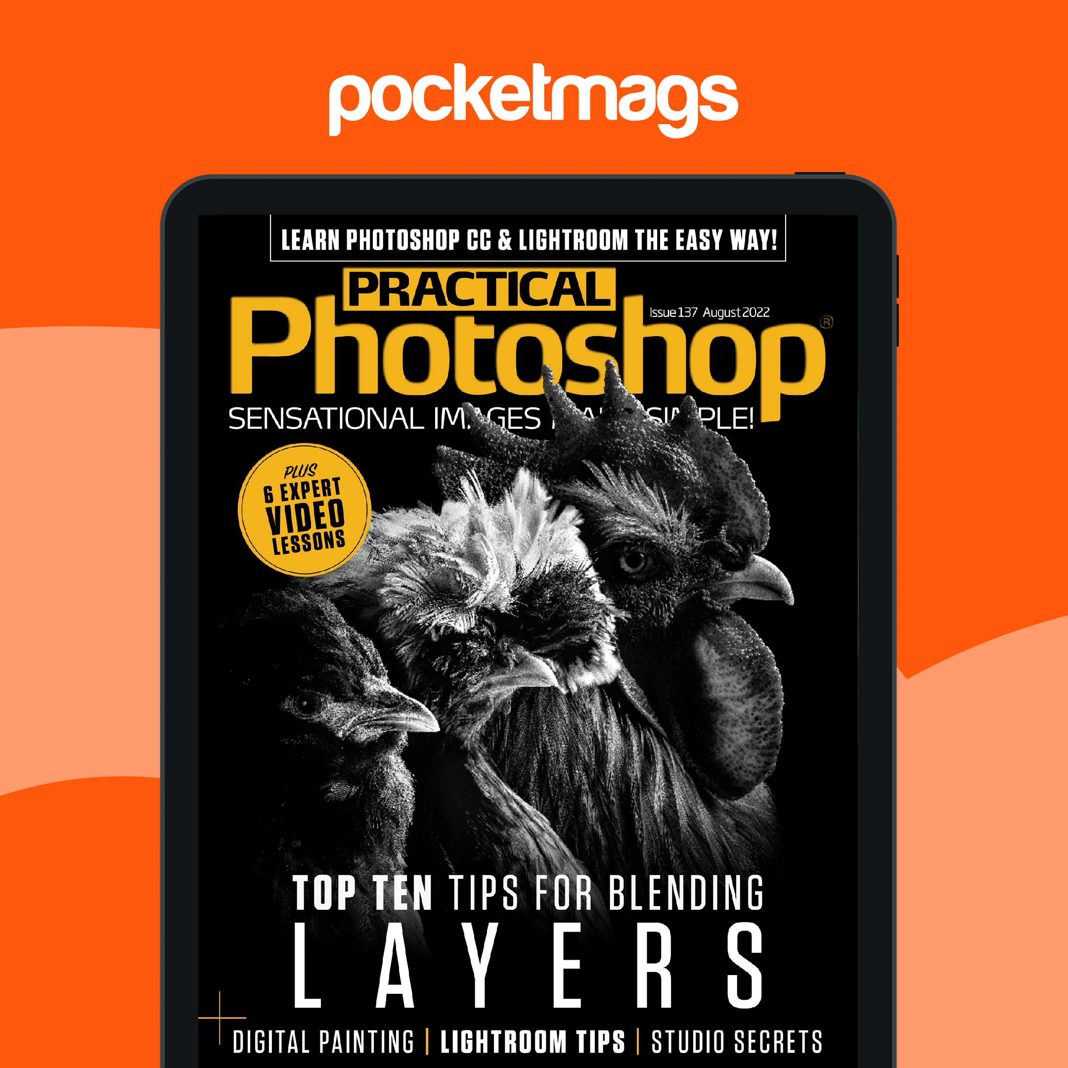Practical Photoshop Magazine - August 2022 Back Issue