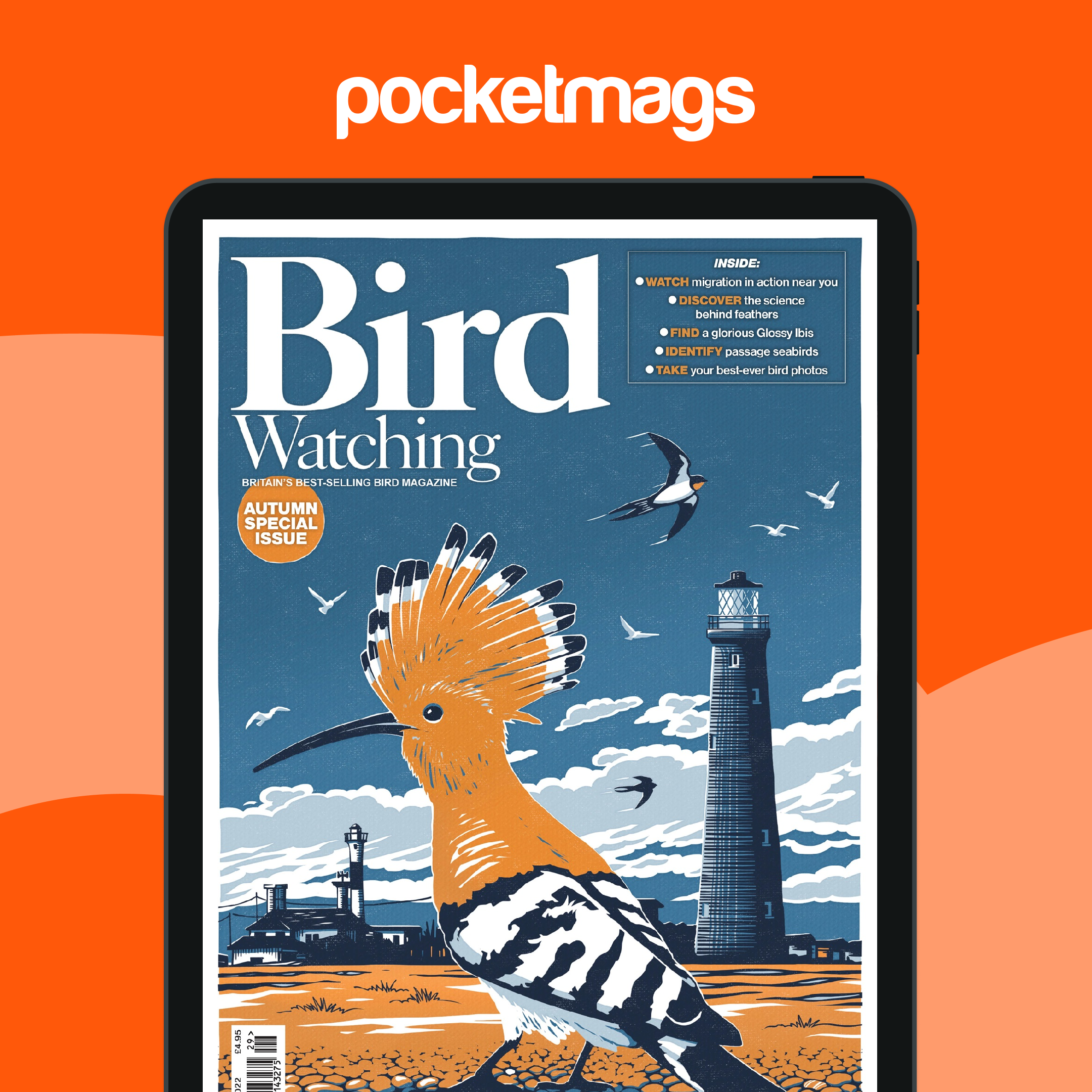 Bird Watching Magazine - Autumn 2022 Edición anterior