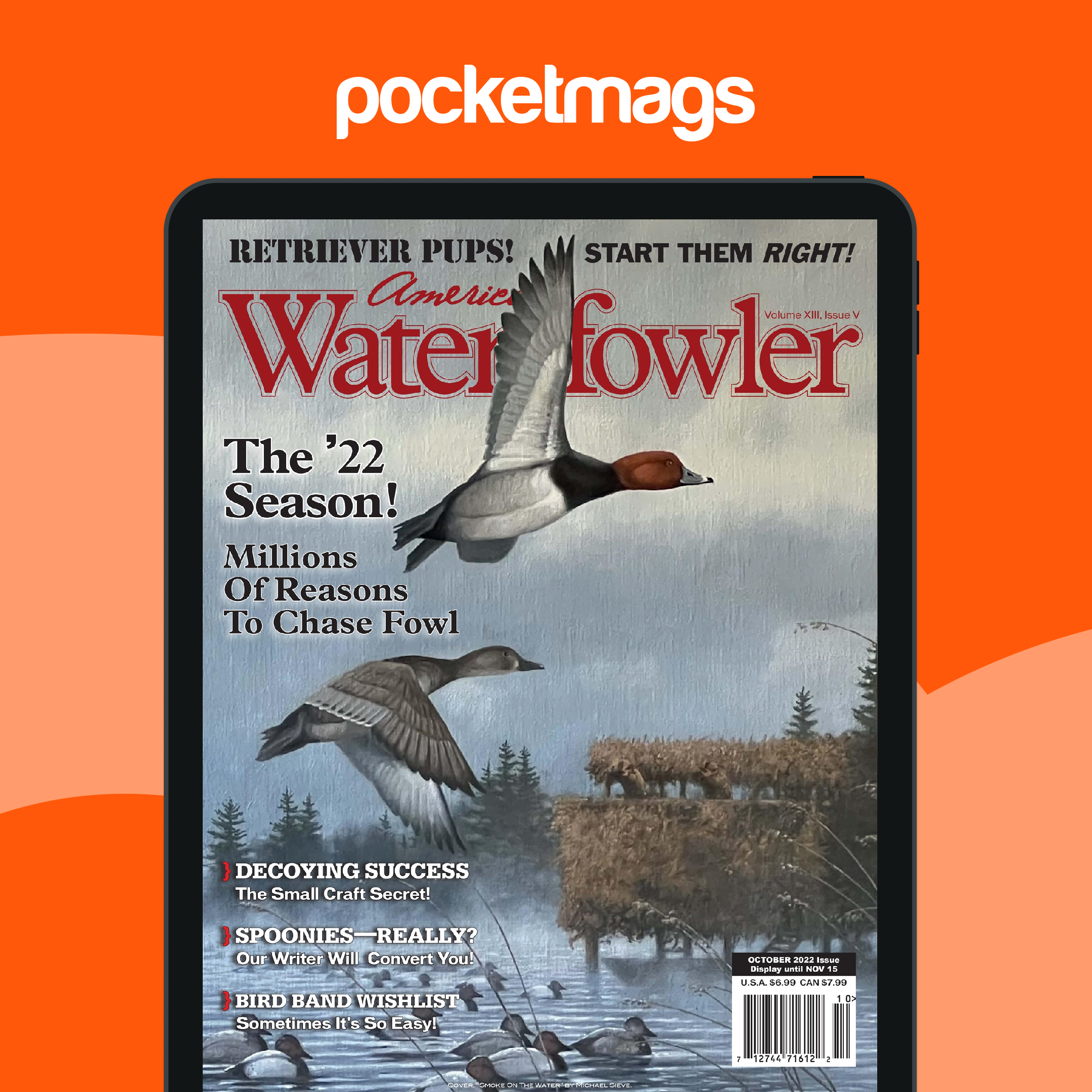 American Waterfowler Magazine - Volume XIII, Issue V – October 2022 ...