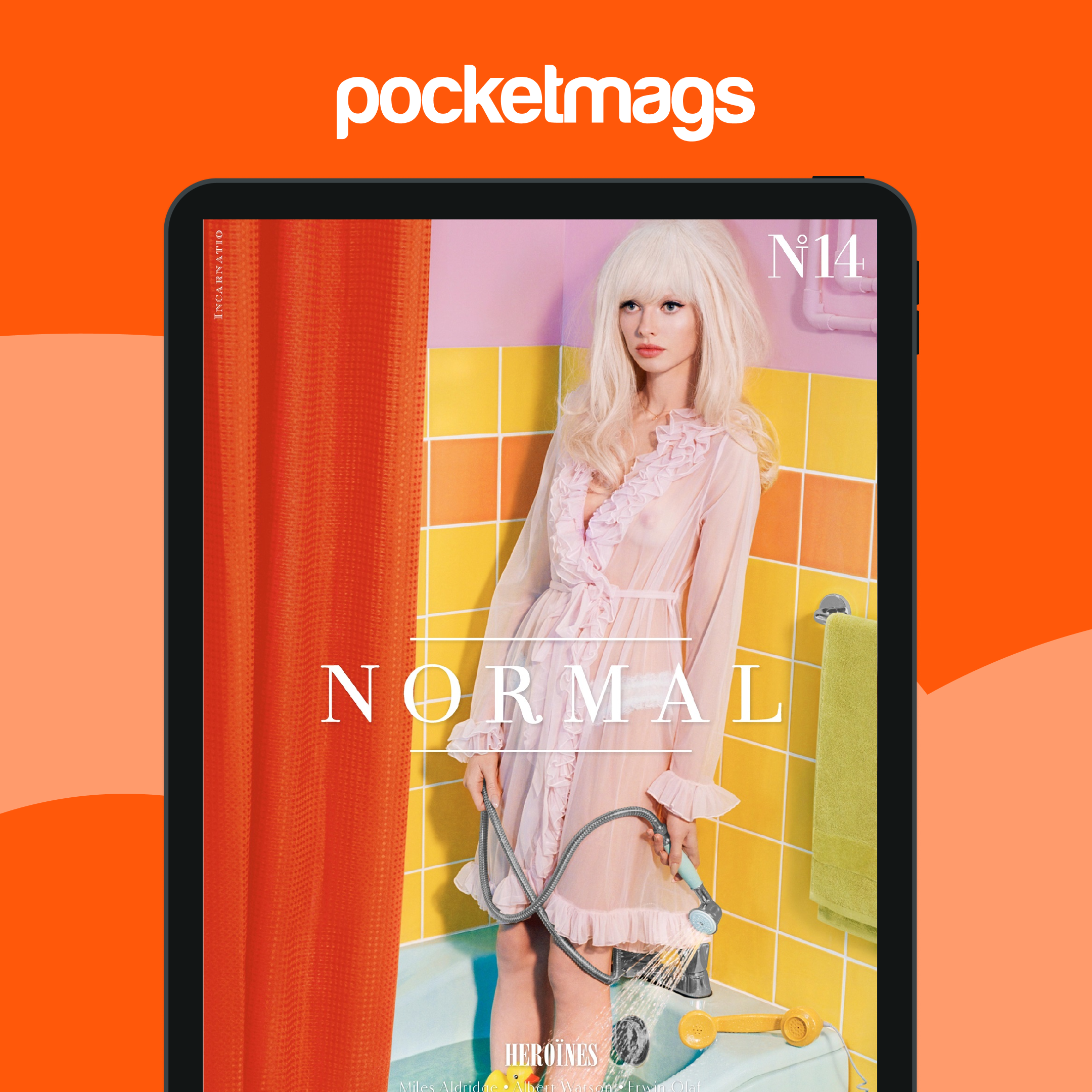 Normal Magazine - Normal Magazine 14 Back Issue