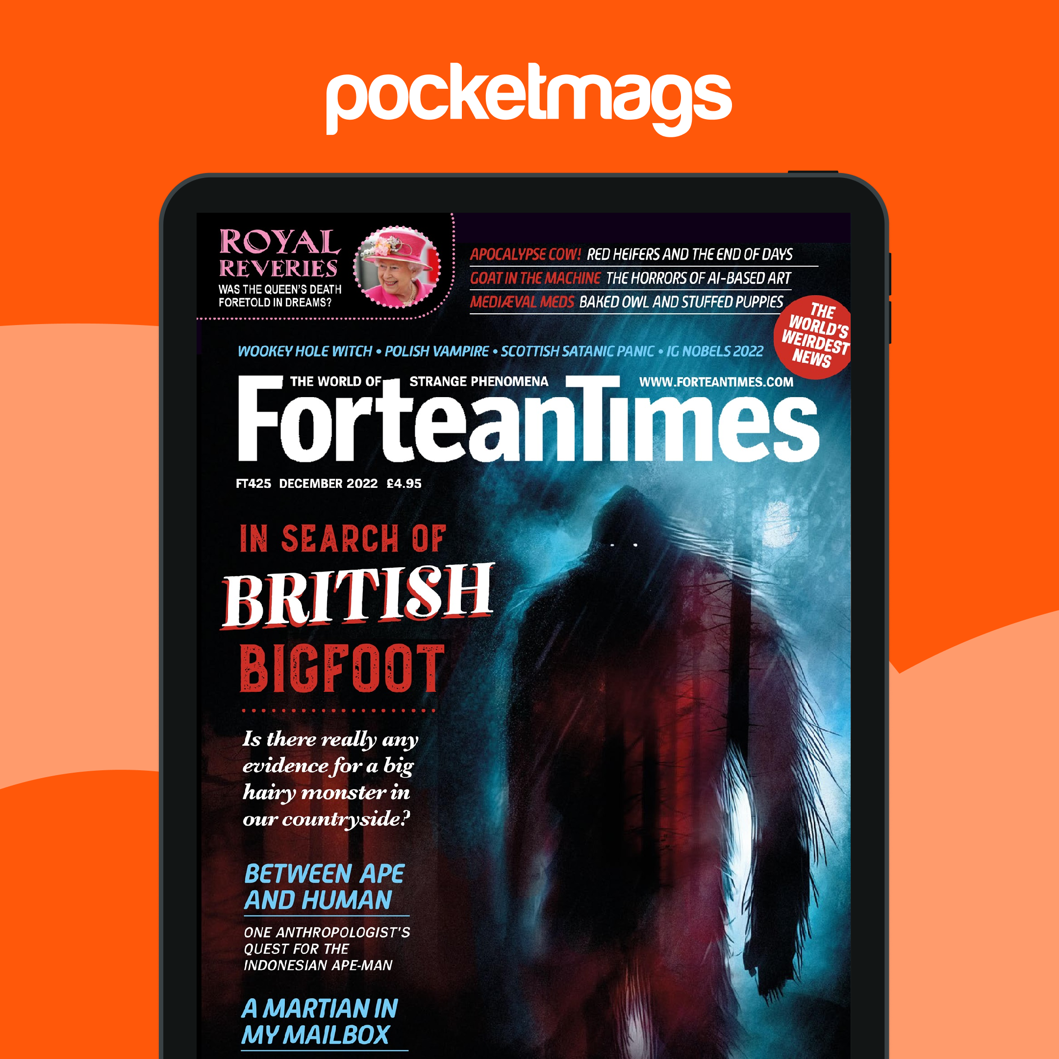 Fortean Times Magazine - 425 Special Issue