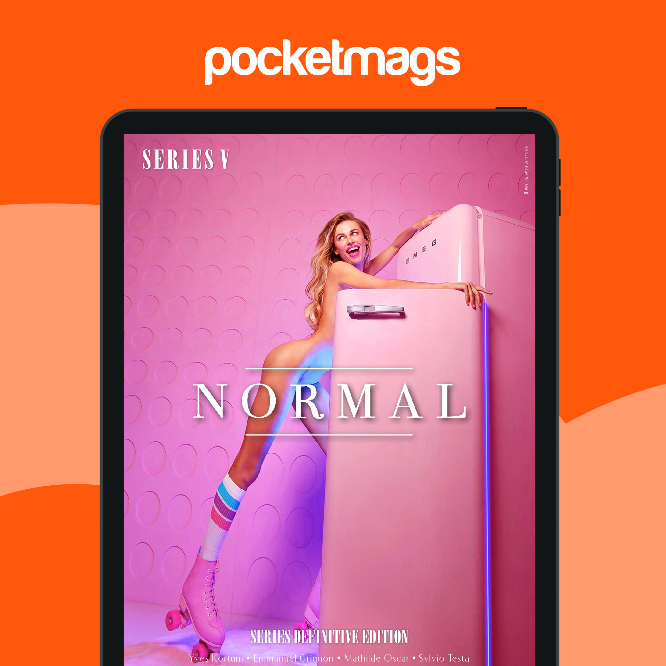 Normal Magazine - NORMAL MAGAZINE Series 5 Back Issue