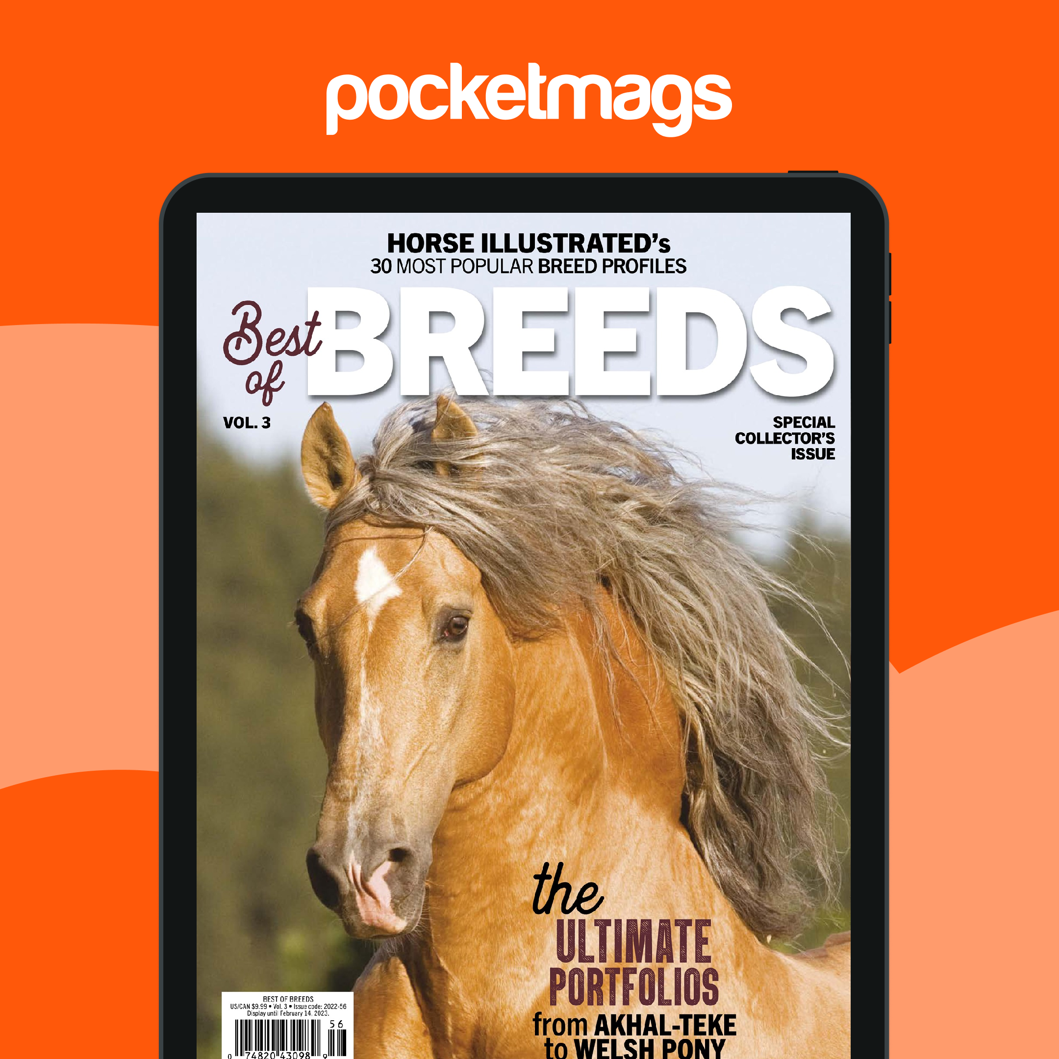 Horse Illustrated Magazine - Best of Breeds Edição especial