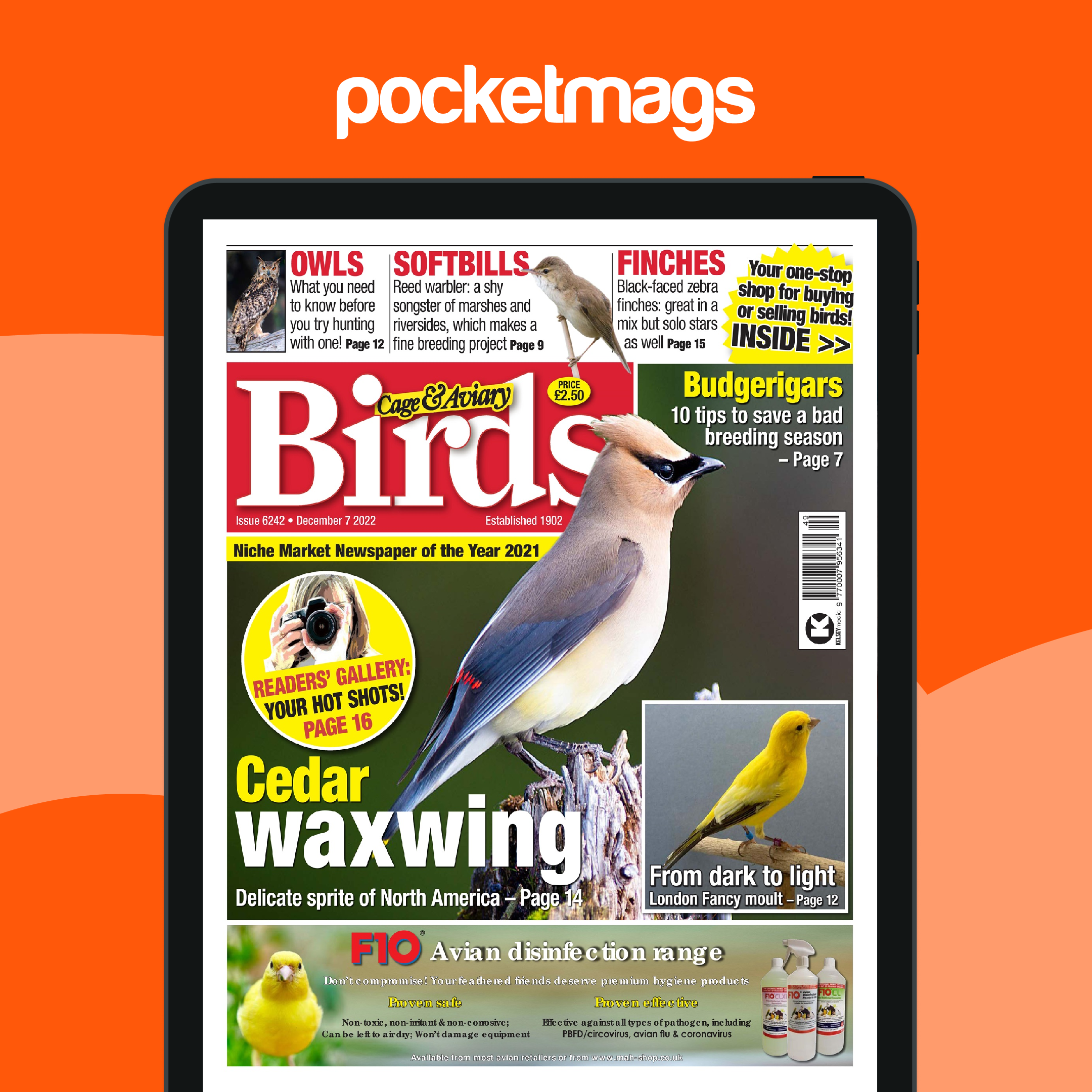 Cage & Aviary Birds Magazine - 7-Dec-22 Retour à l'édition précédente