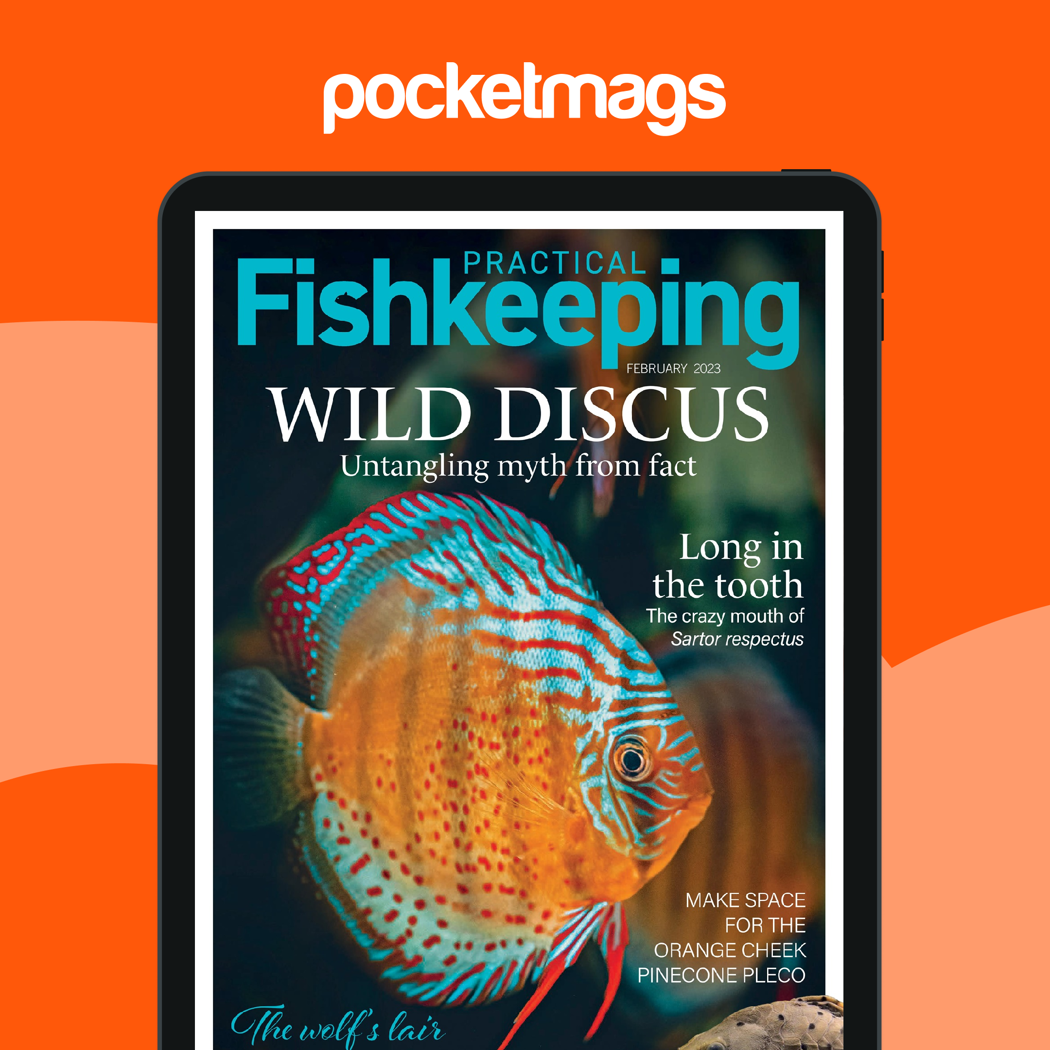 Practical Fishkeeping Magazine - Practical Fishkeeping February 2023 ...