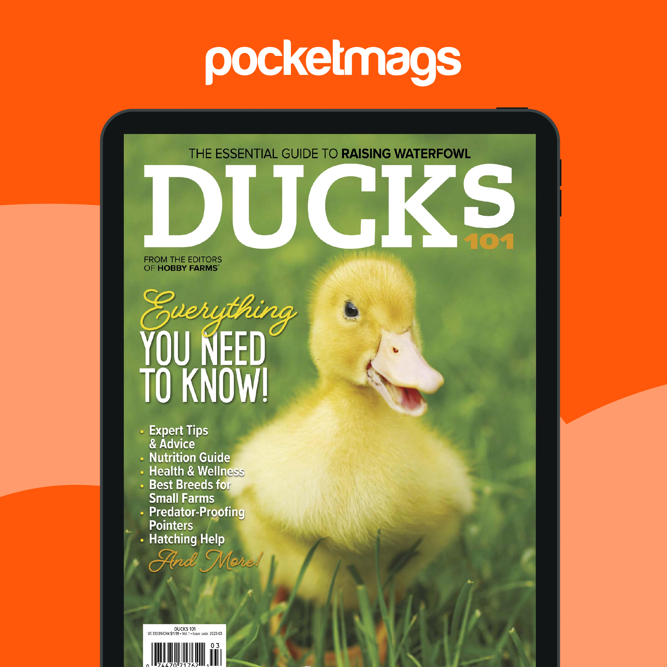 Chickens Magazine - Ducks 101 Special Issue