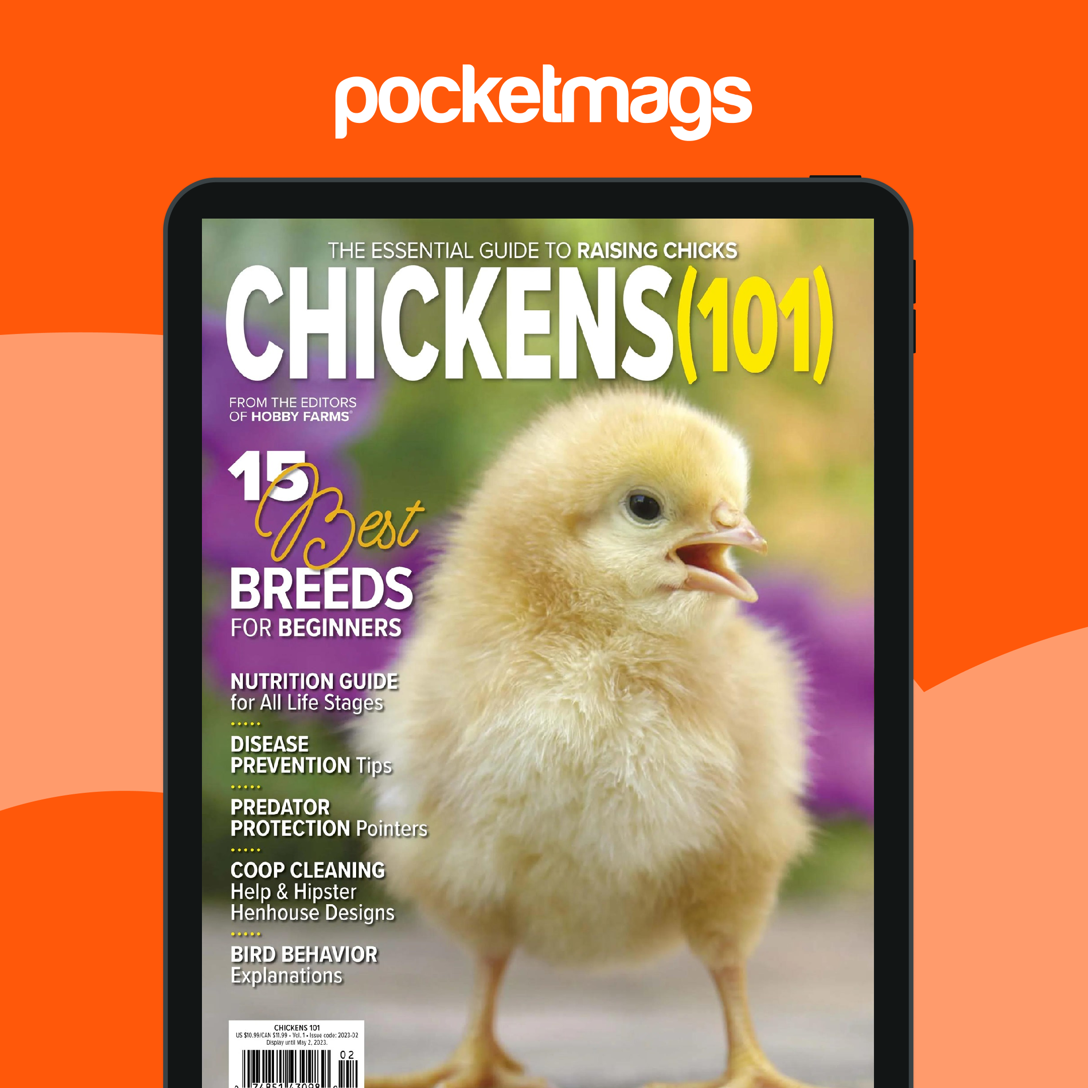 Chickens Magazine - Chickens 101 Special Issue
