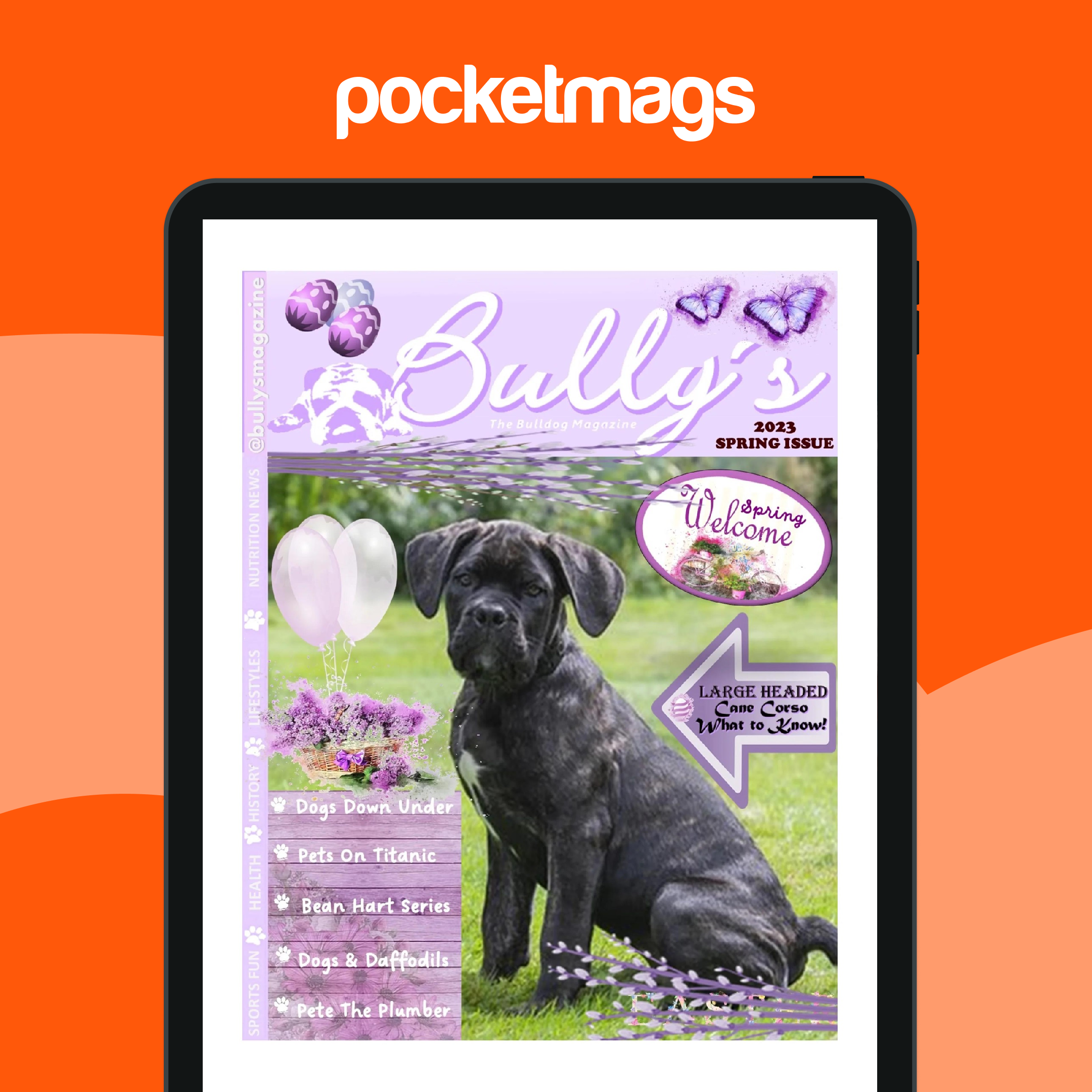 Bully’s - The Bulldog Magazine - Spring 2023 Back Issue