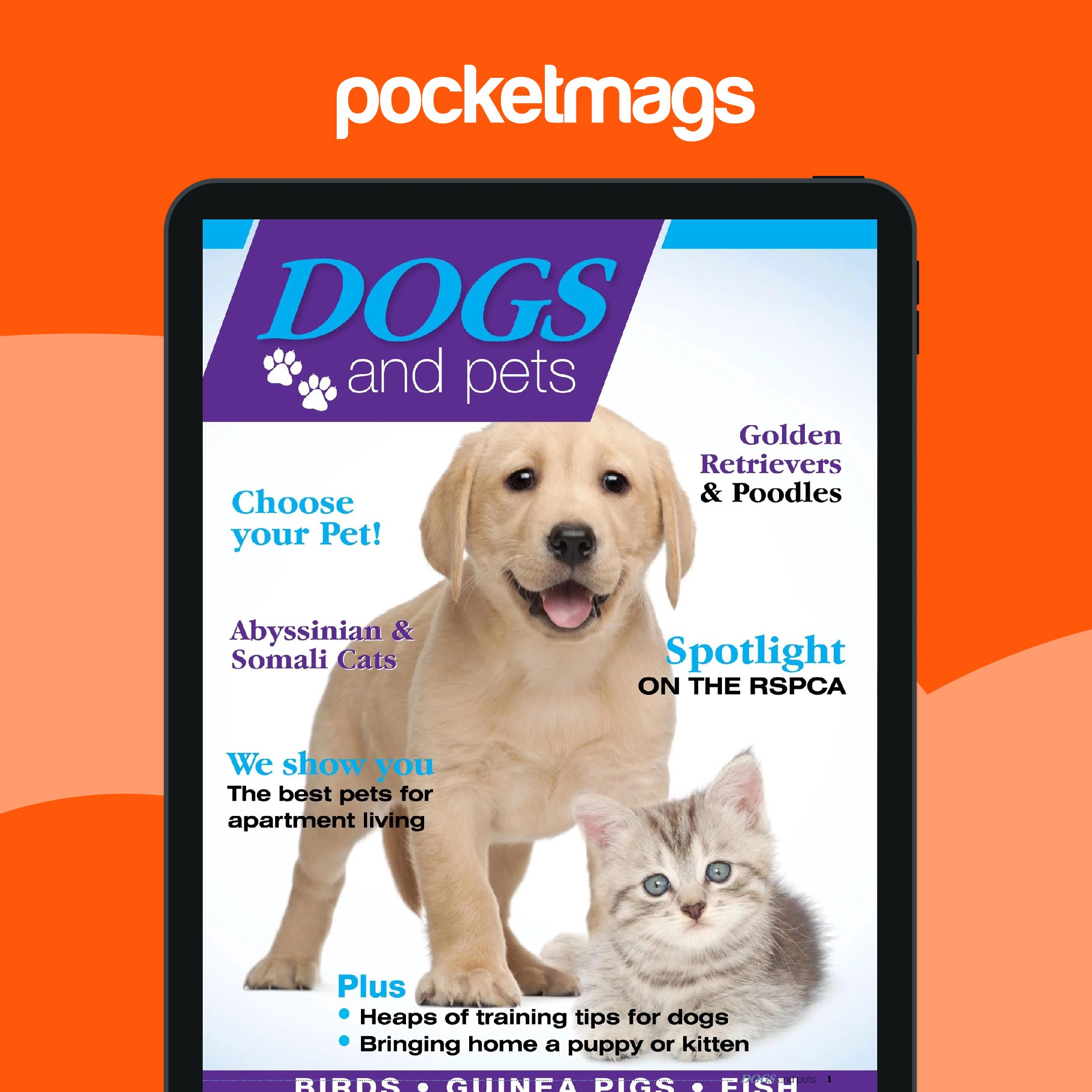 Dogs and Pets Magazine - FREE Sample Issue Special Issue