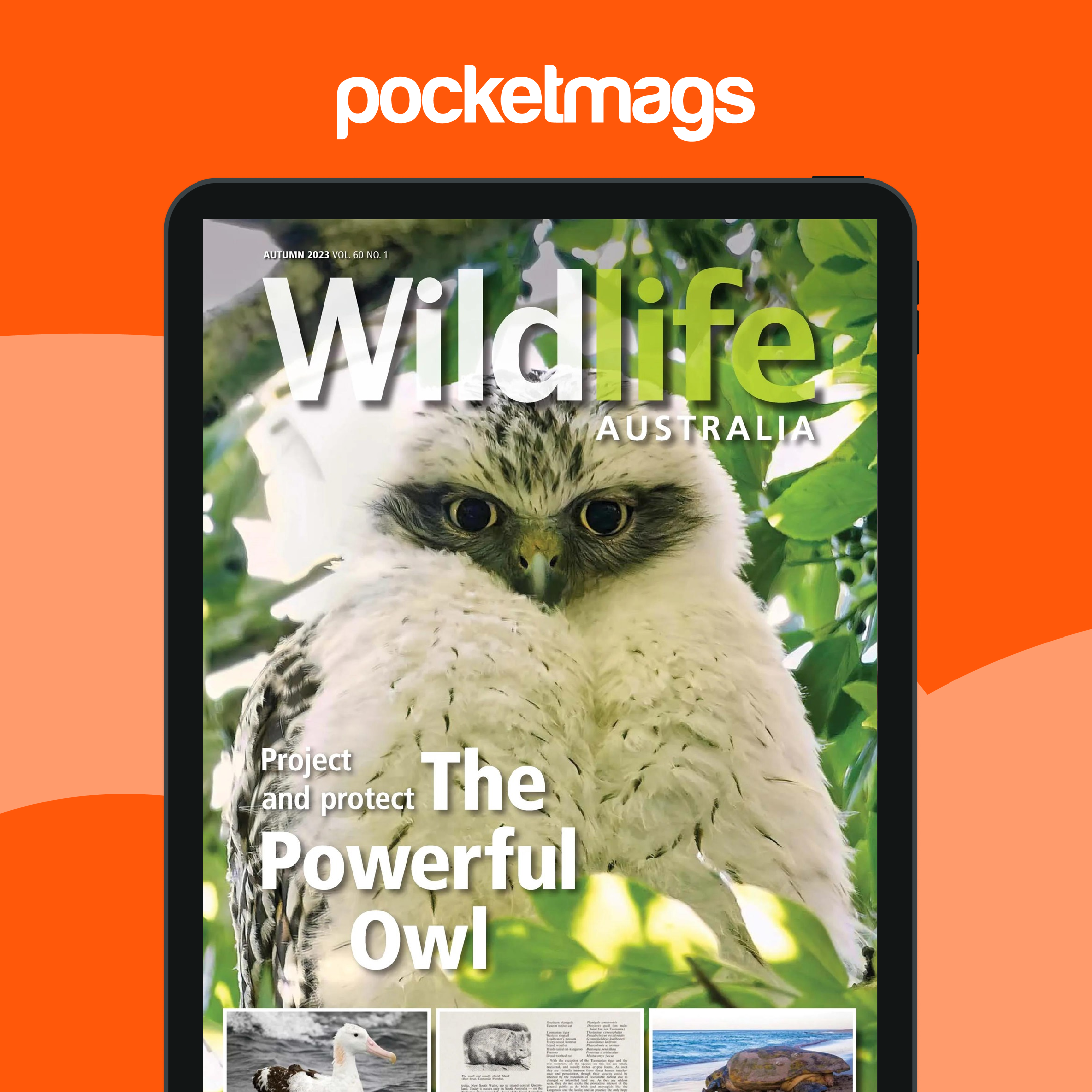 Wildlife Australia Magazine - Wildlife Australia Autumn 2023 Back Issue