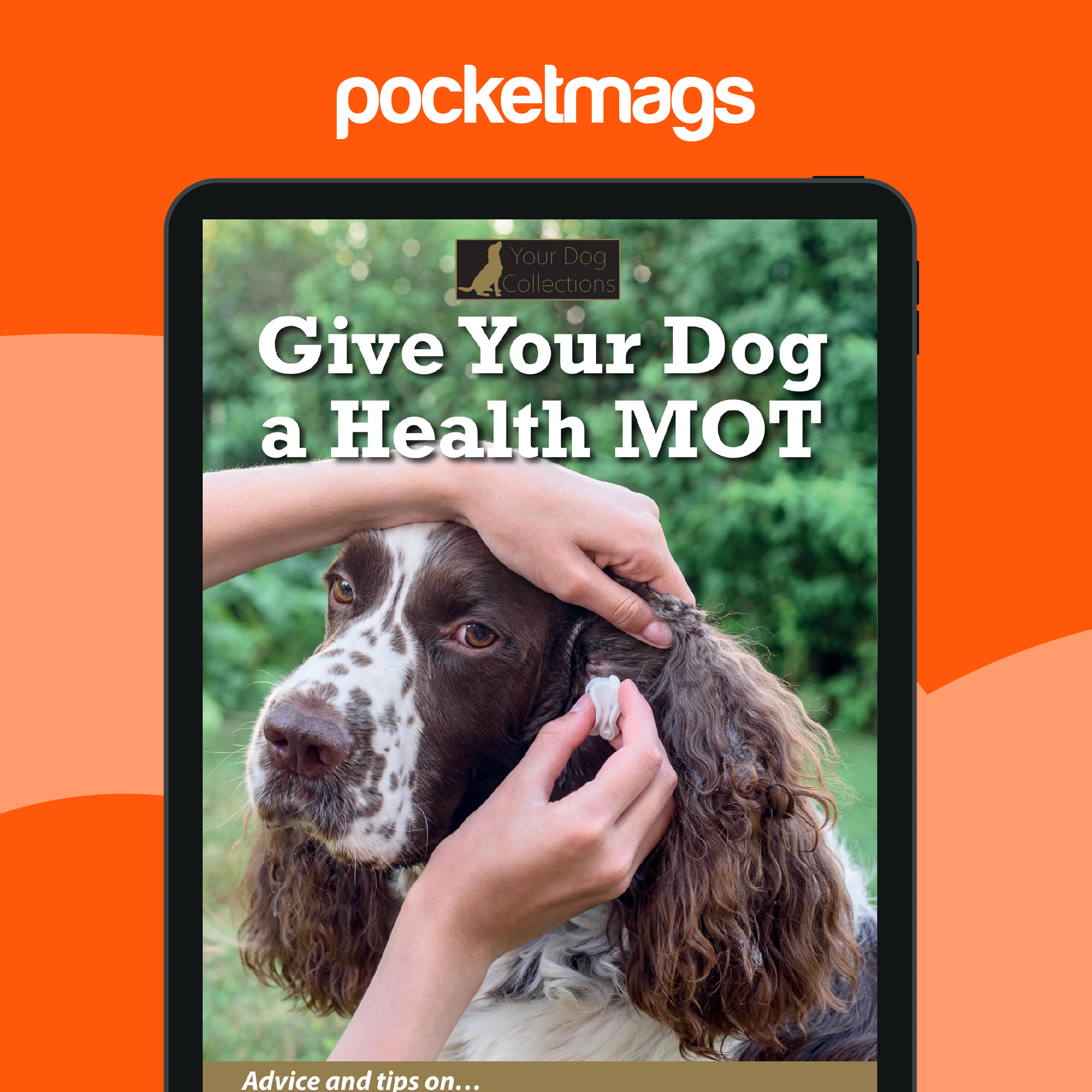 Your Dog Magazine - Give Your Dog a Health MOT Special Issue