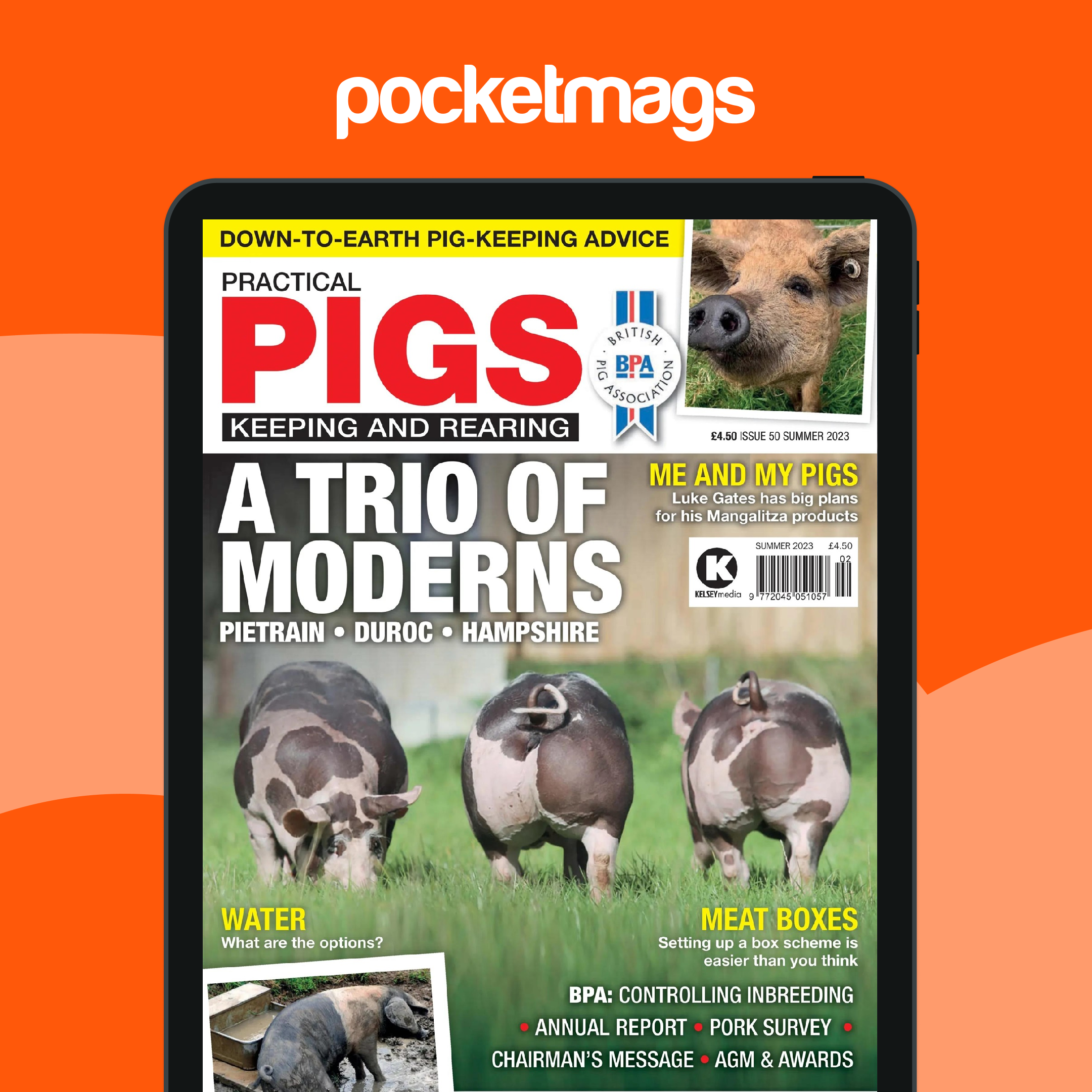 Practical Pigs Magazine - Summer 2023 Back Issue