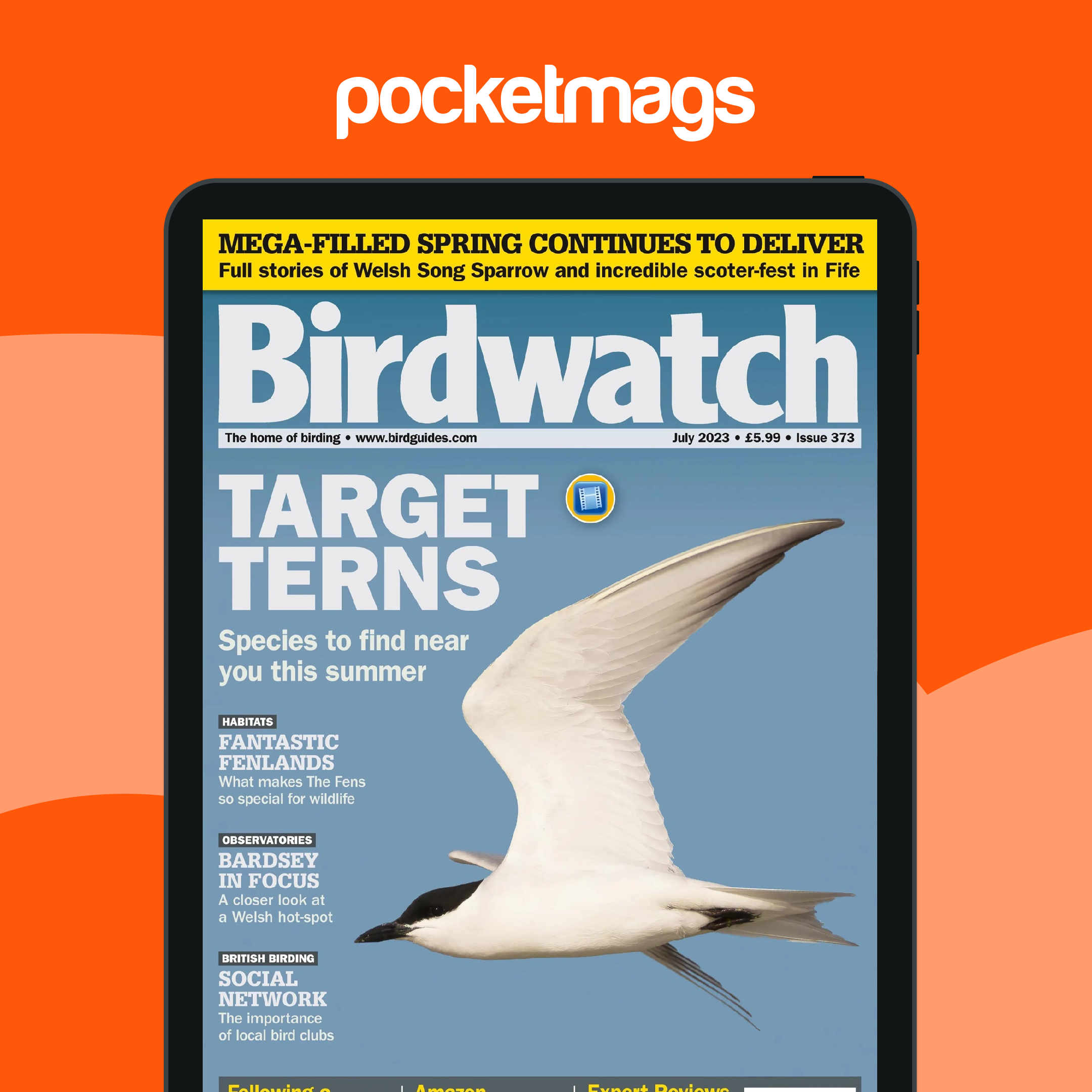 Birdwatch Magazine - July 2023 Back Issue