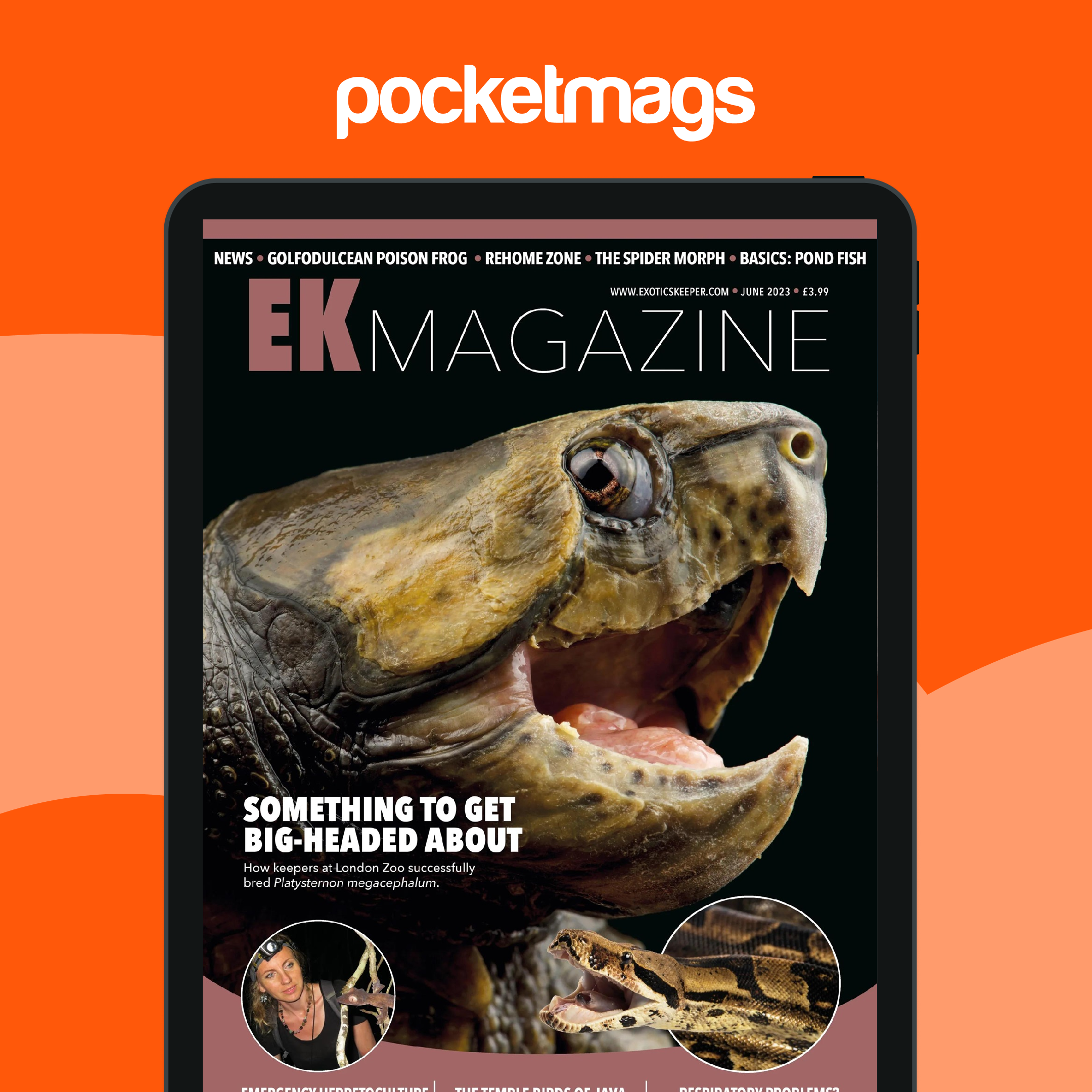 Exotics Keeper Magazine - June 2023 Back Issue
