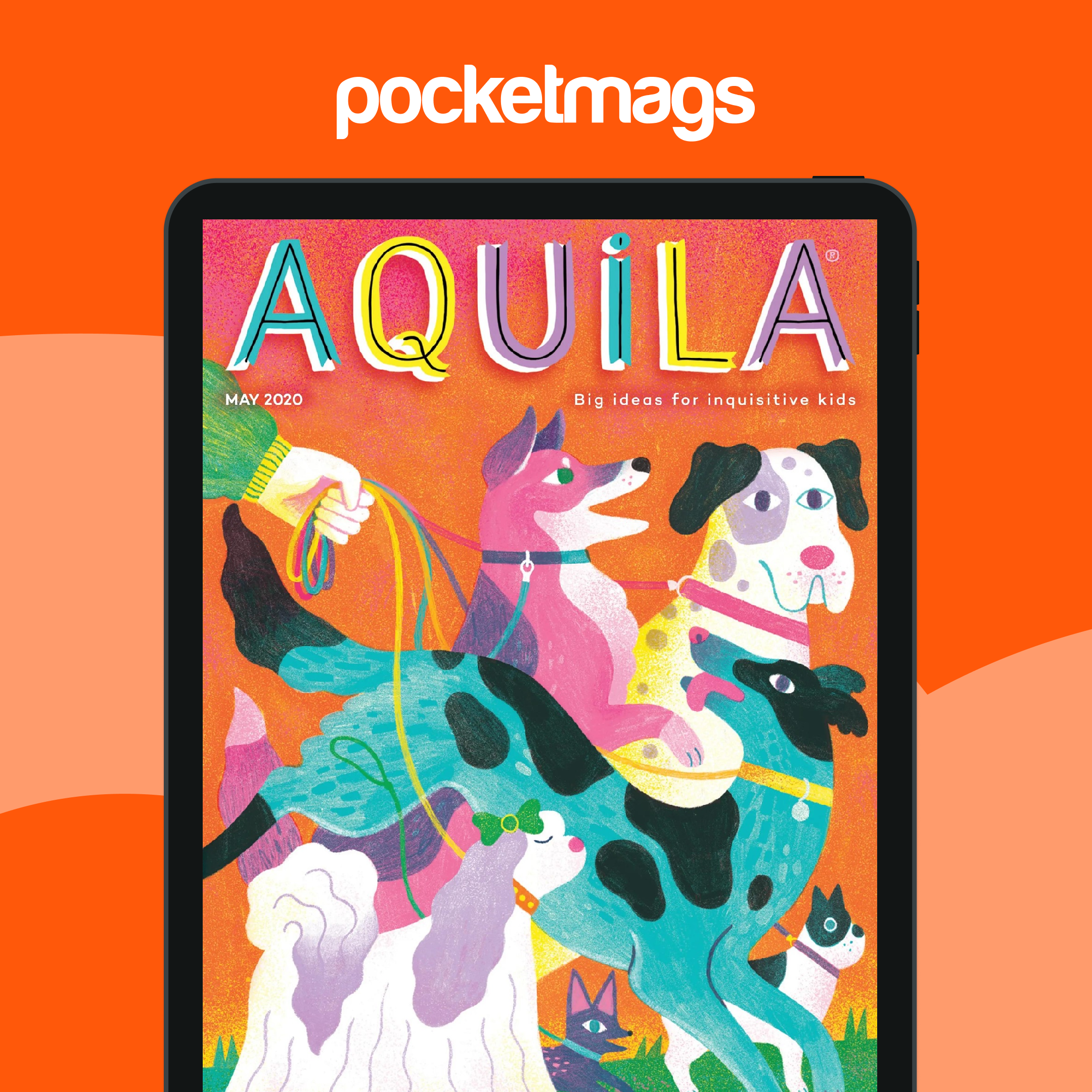 Aquila Magazine - Discover Dogs Back Issue