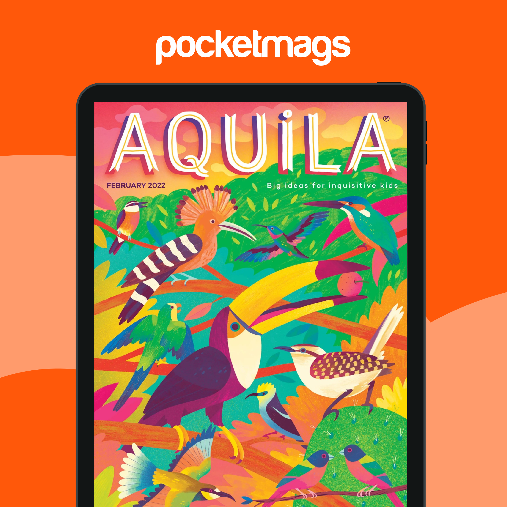 Aquila Magazine - Brilliant Birds Back Issue