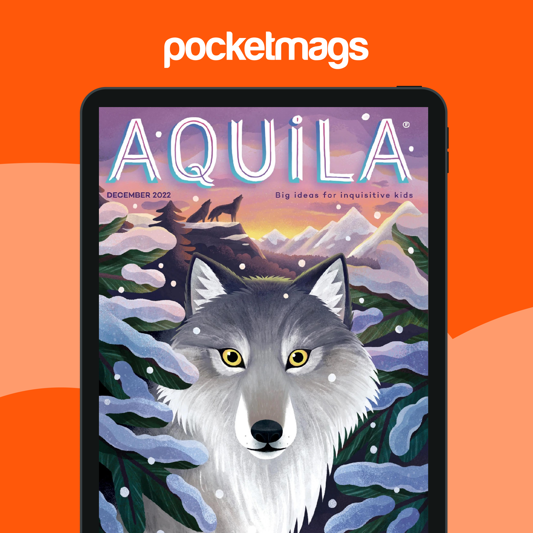 Aquila Magazine - Winter Wild Back Issue