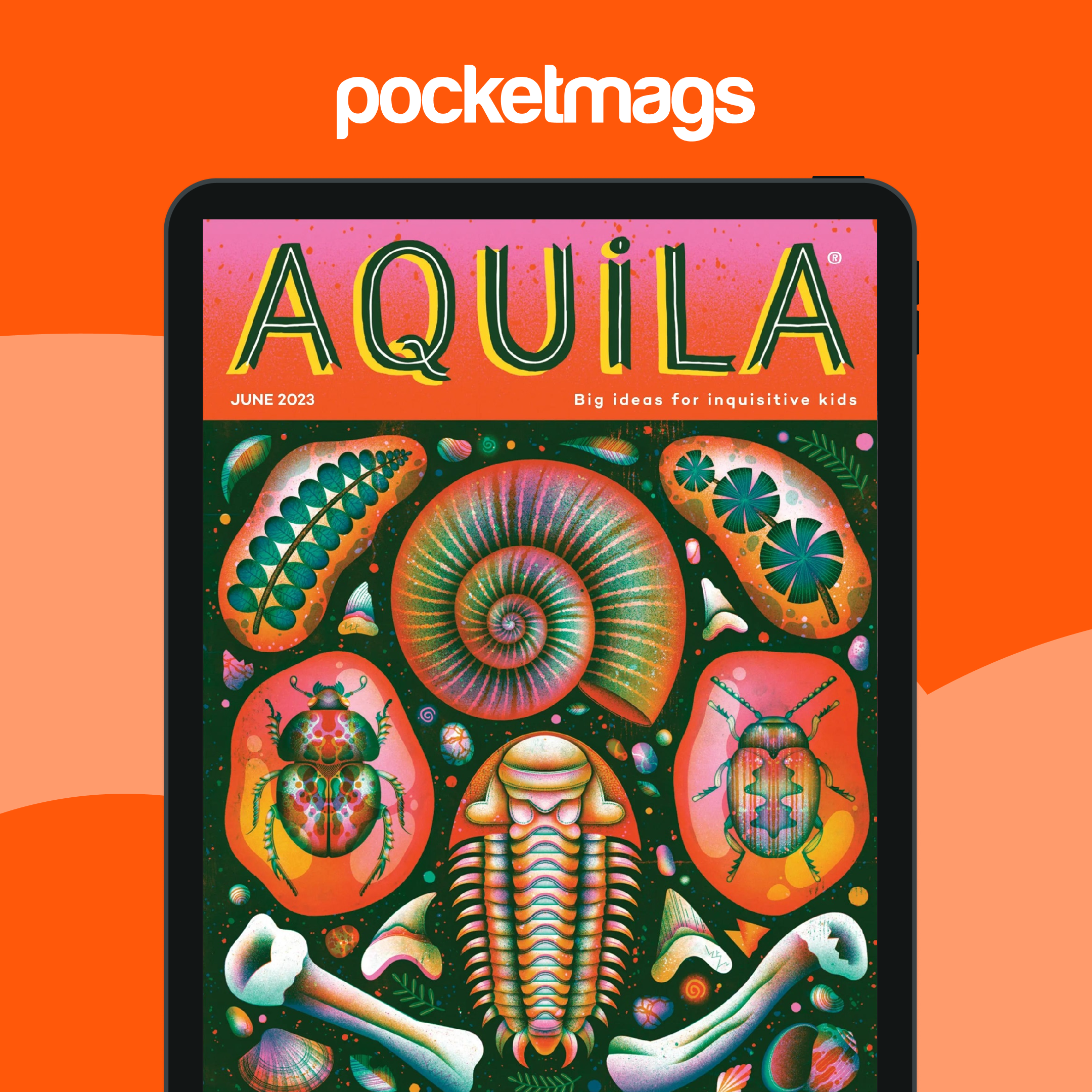 Aquila Magazine - Fossils & Rocks Back Issue