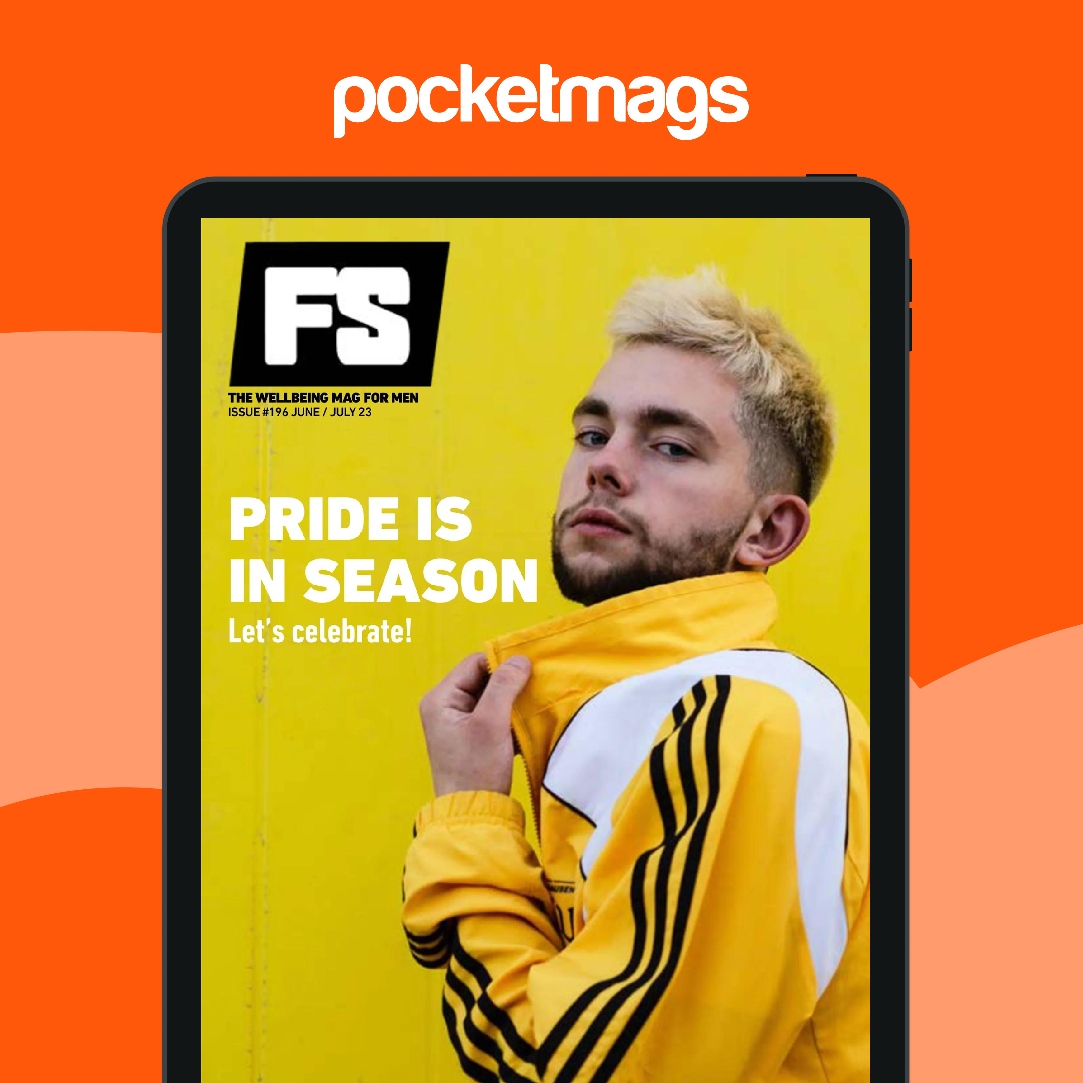FS International Magazine - FS 196 Back Issue