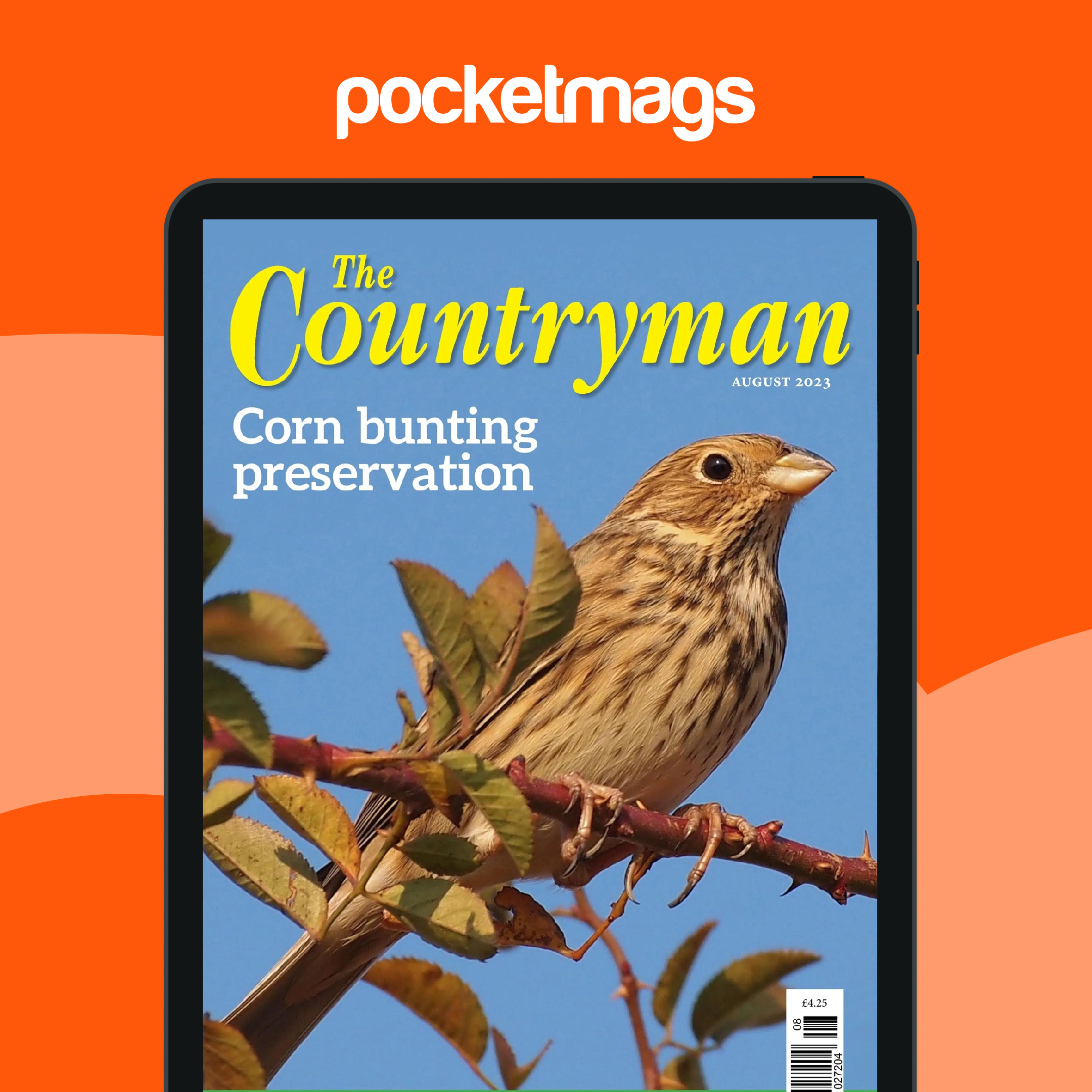 The Countryman Magazine - August 2023 Back Issue