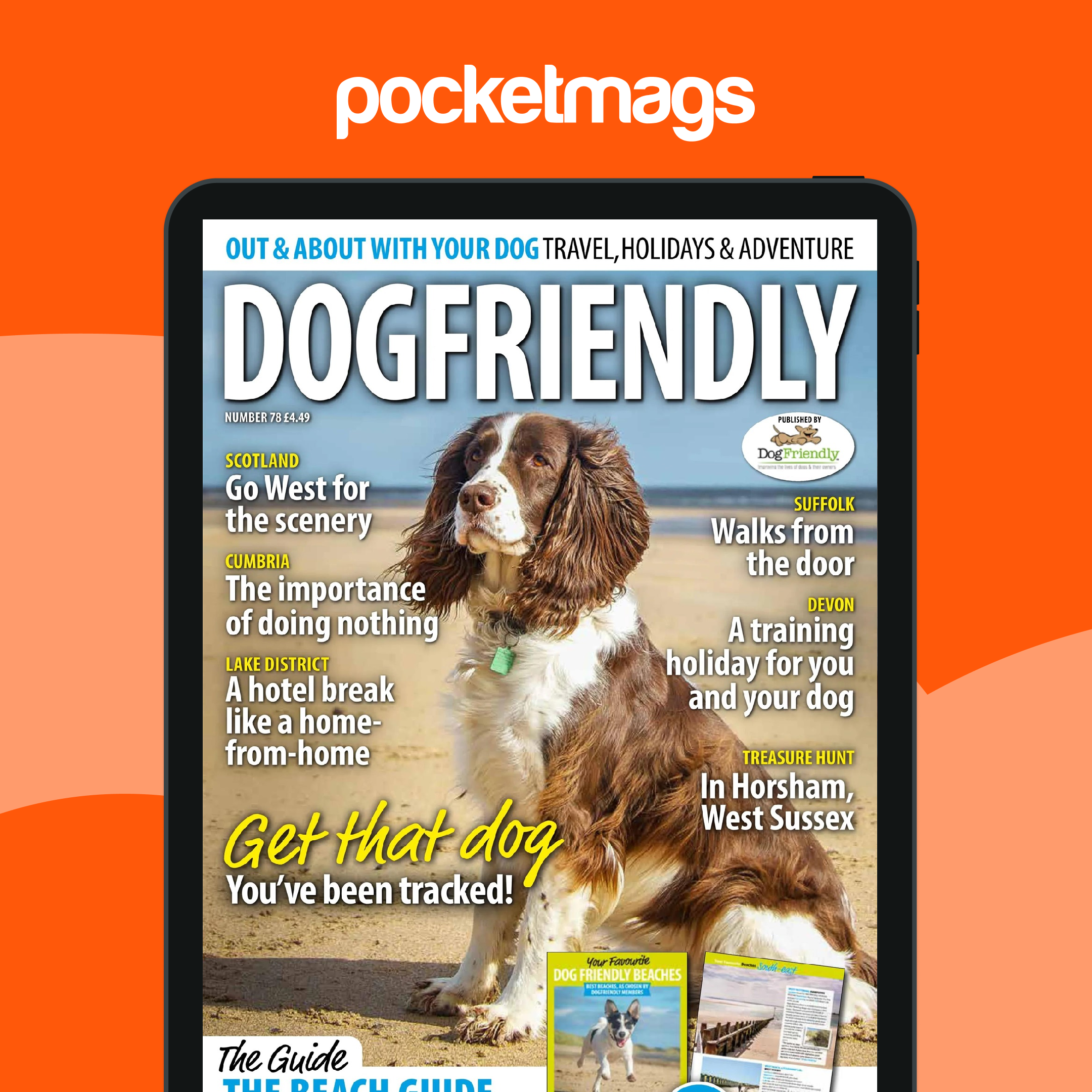 Dog Friendly Magazine - Jul-Aug 23 Edición anterior