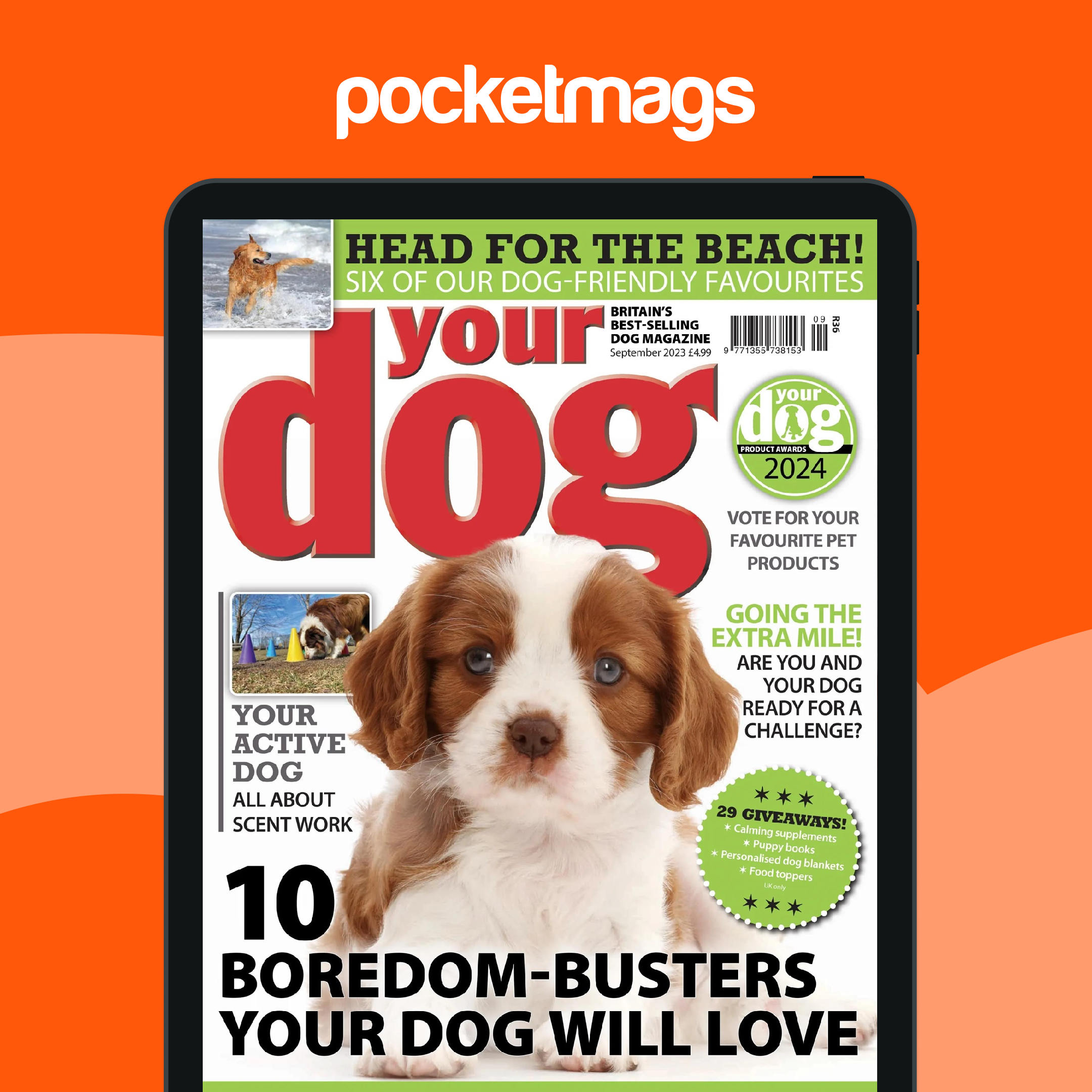 Your Dog Magazine - September 2023 Back Issue