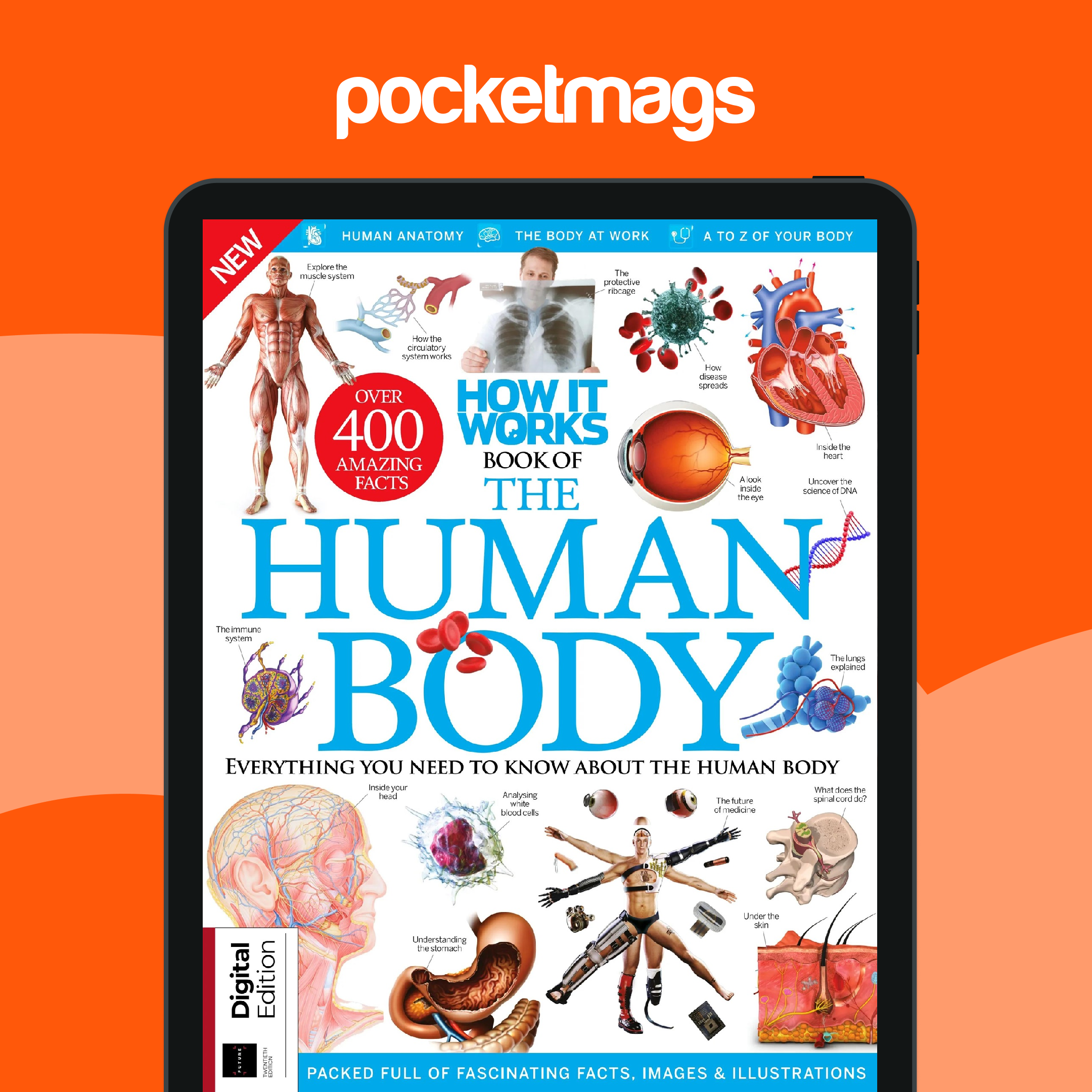How It Works Bookazine - How It Works: Book Of The Human Body Twentieth ...