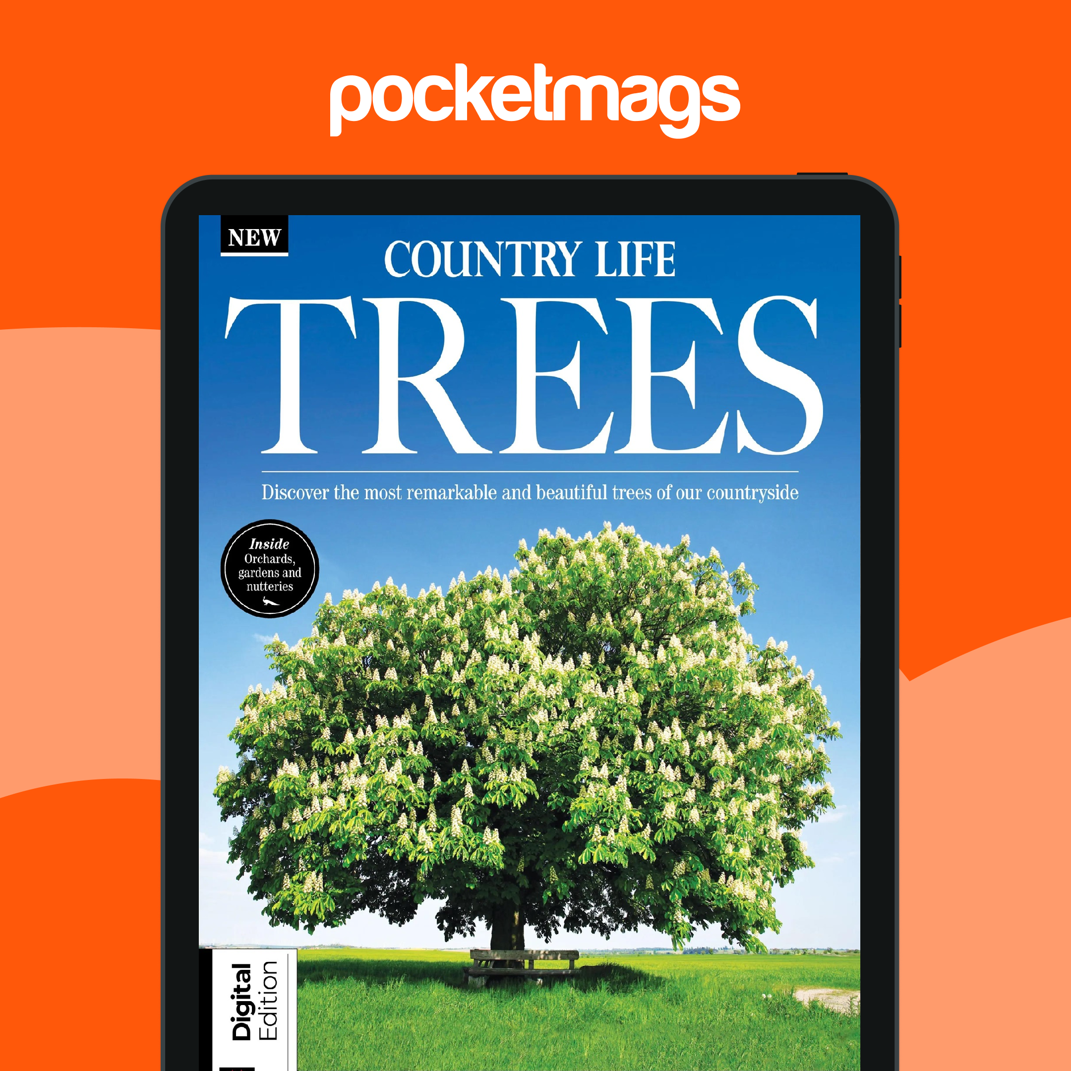 Country Life Bookazine - Country Life: Book of Trees First Edition Back ...