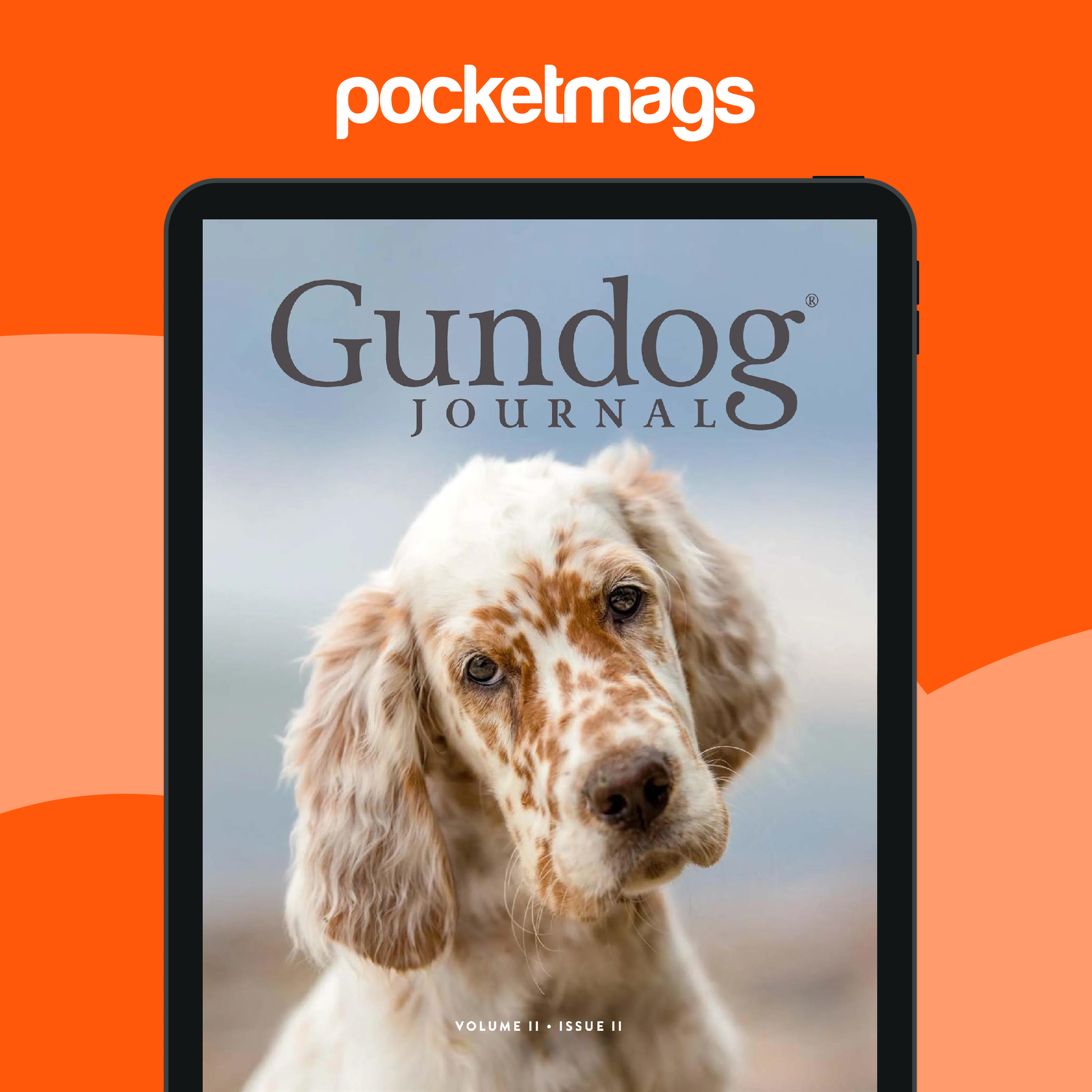 Gundog Journal Magazine - Volume II Issue II Retour à l'édition précédente