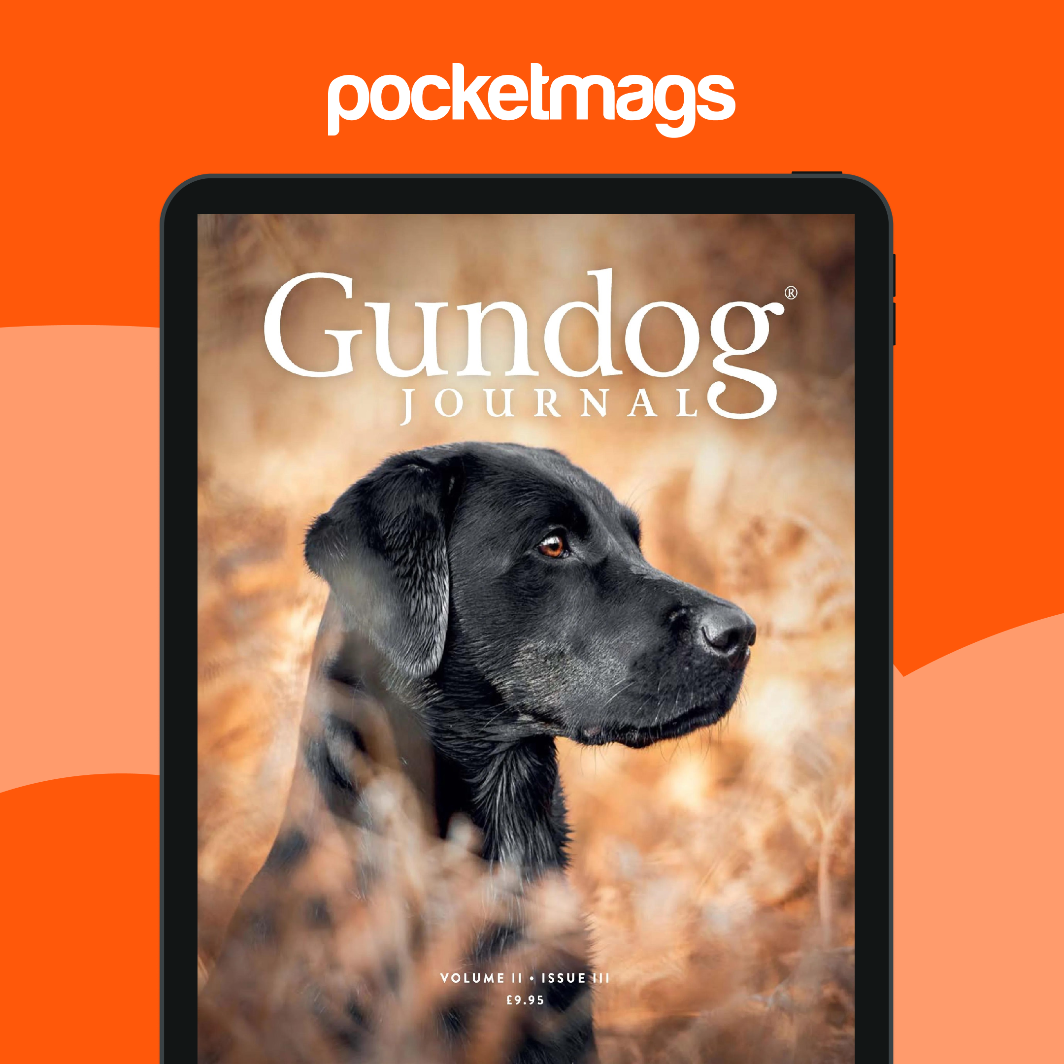 Gundog Journal Magazine - Volume II Issue III Back Issue