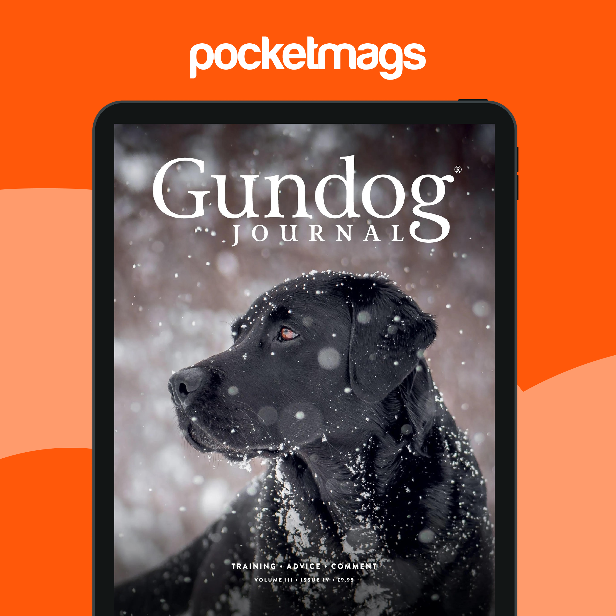 Gundog Journal Magazine - Volume III Issue IV Back Issue