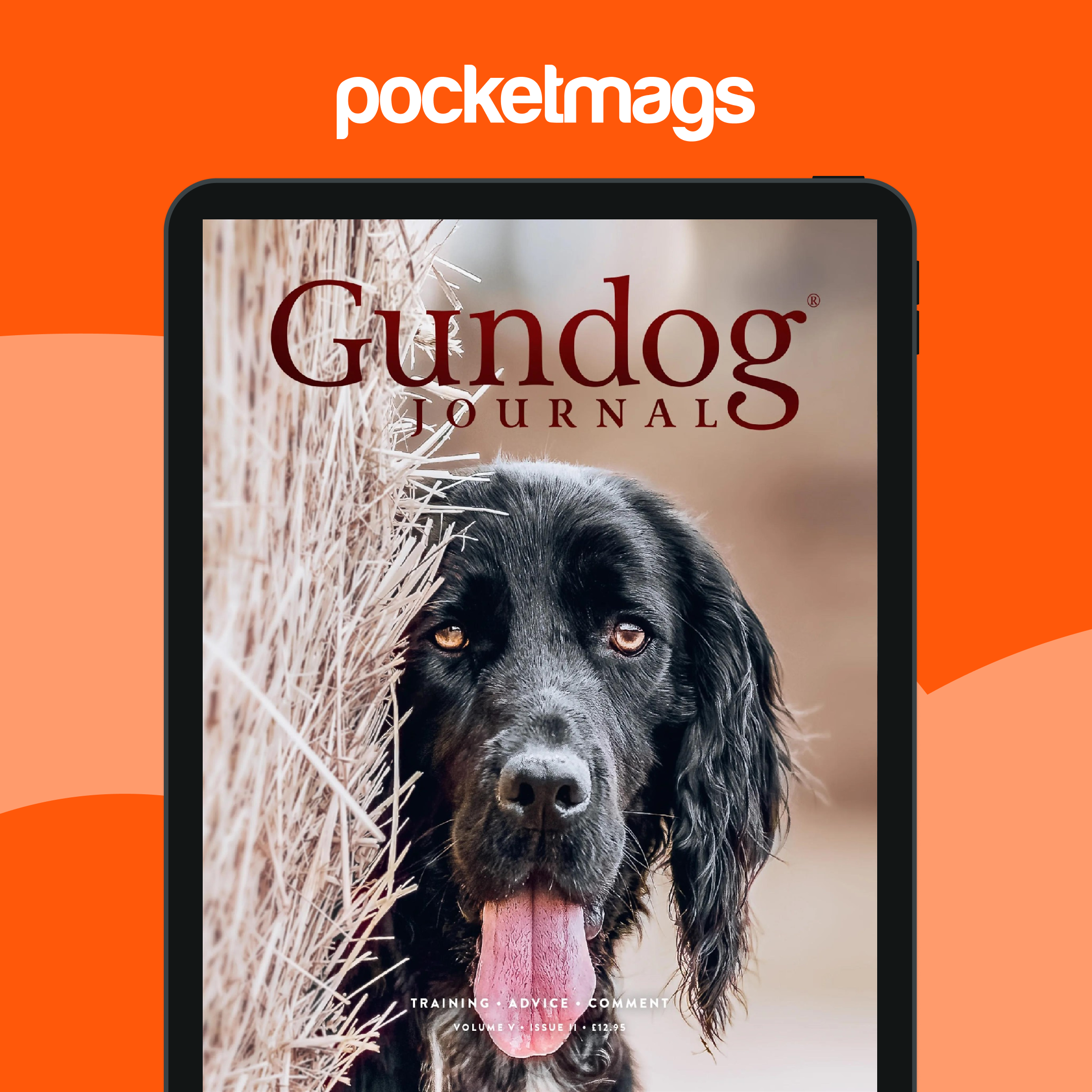 Gundog Journal Magazine - Volume V Issue II Back Issue