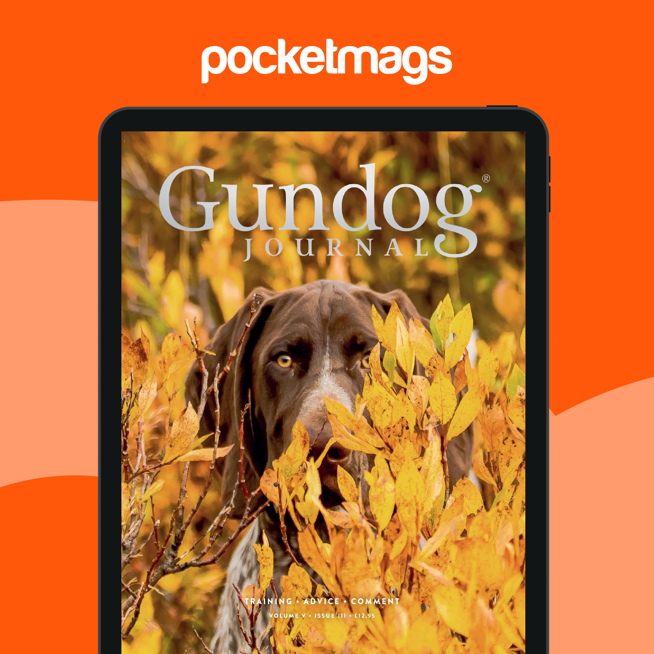 Gundog Journal Magazine - Volume V Issue III Edición anterior