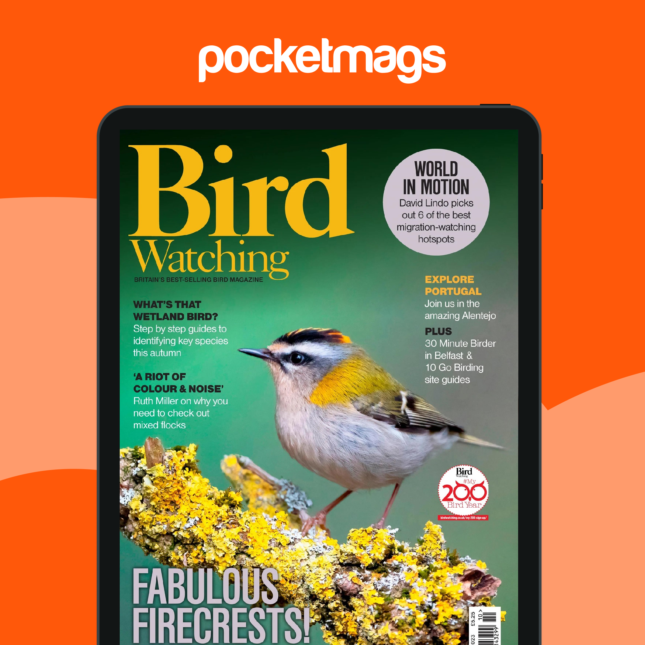 Bird Watching Magazine - Oct-23 Back Issue