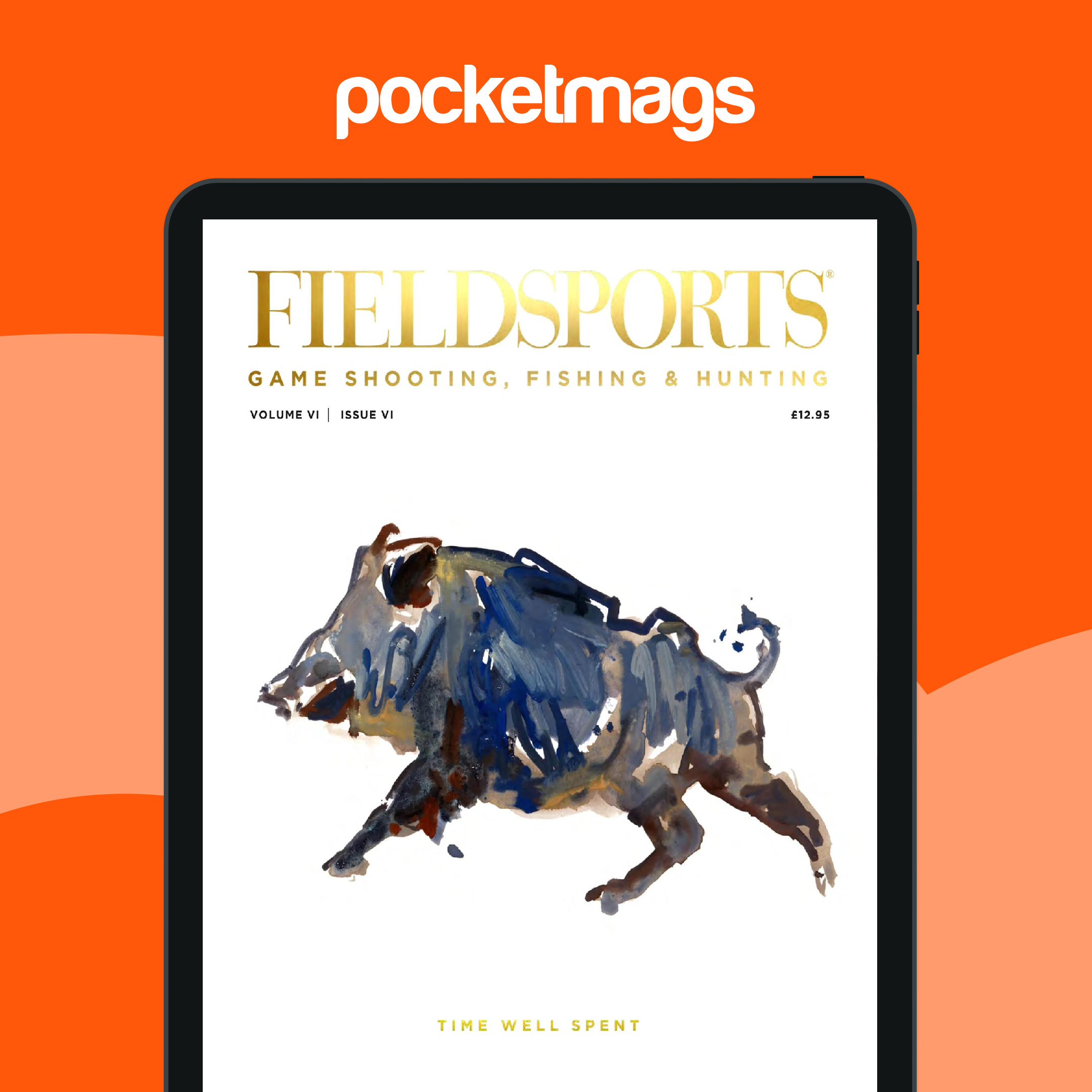 Fieldsports Journal Magazine - Volume VI Issue VI Back Issue