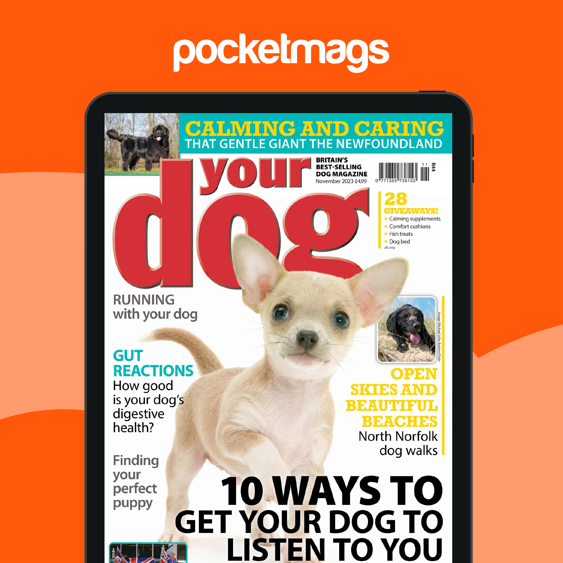 Your Dog Magazine - November 2023 Back Issue