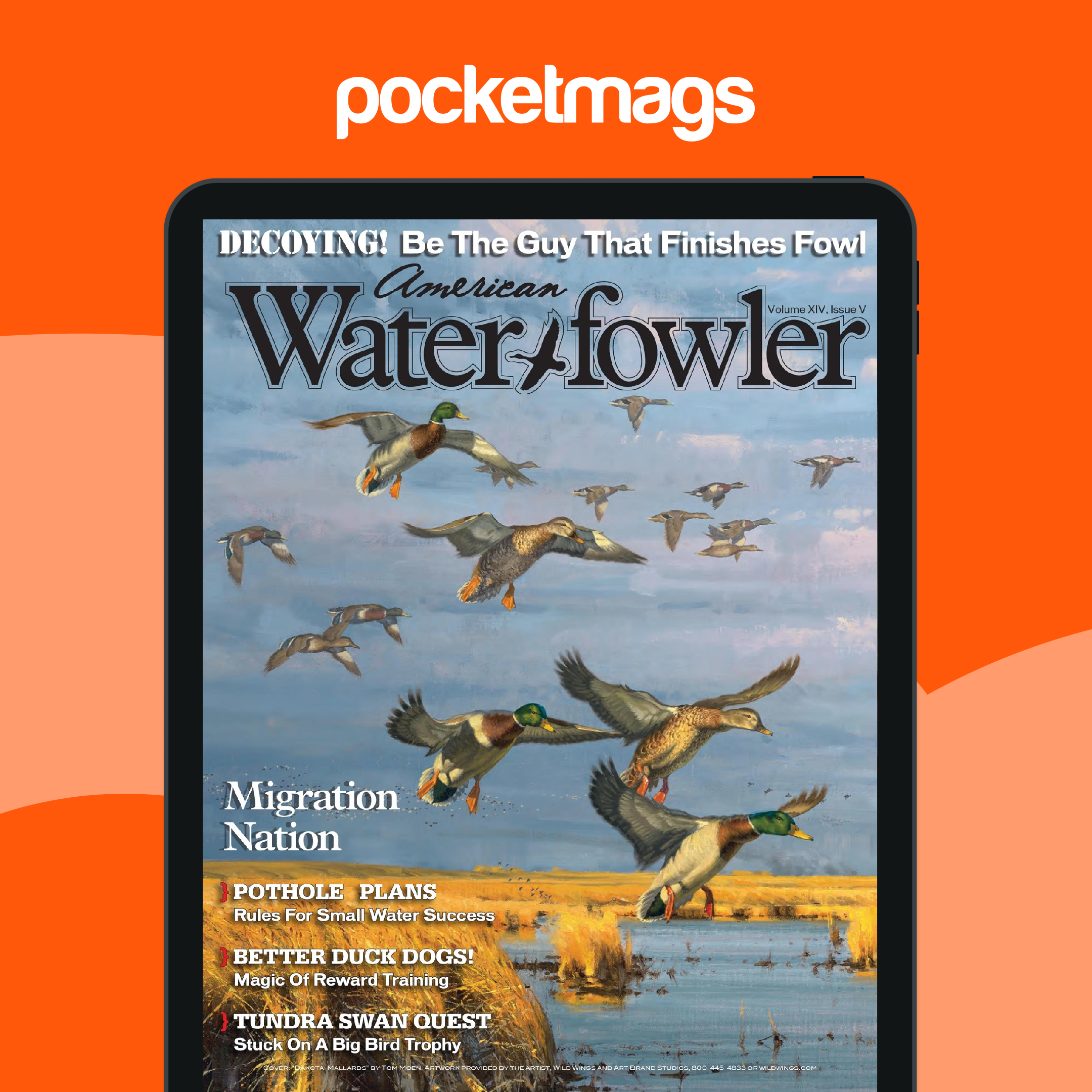 American Waterfowler Magazine - Vol XIV, Issue V Back Issue