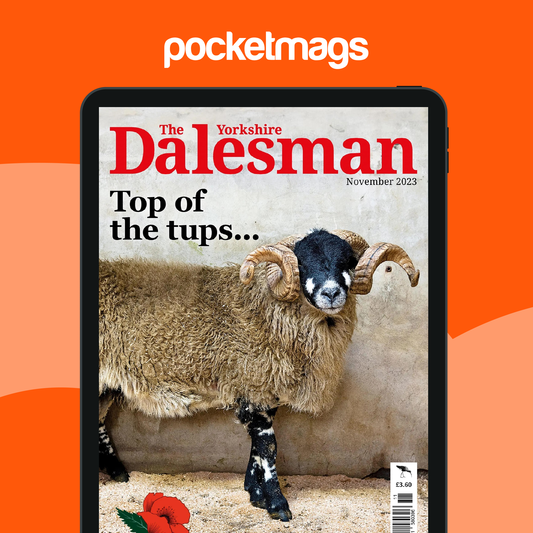 The Yorkshire Dalesman Magazine - November 2023 Back Issue