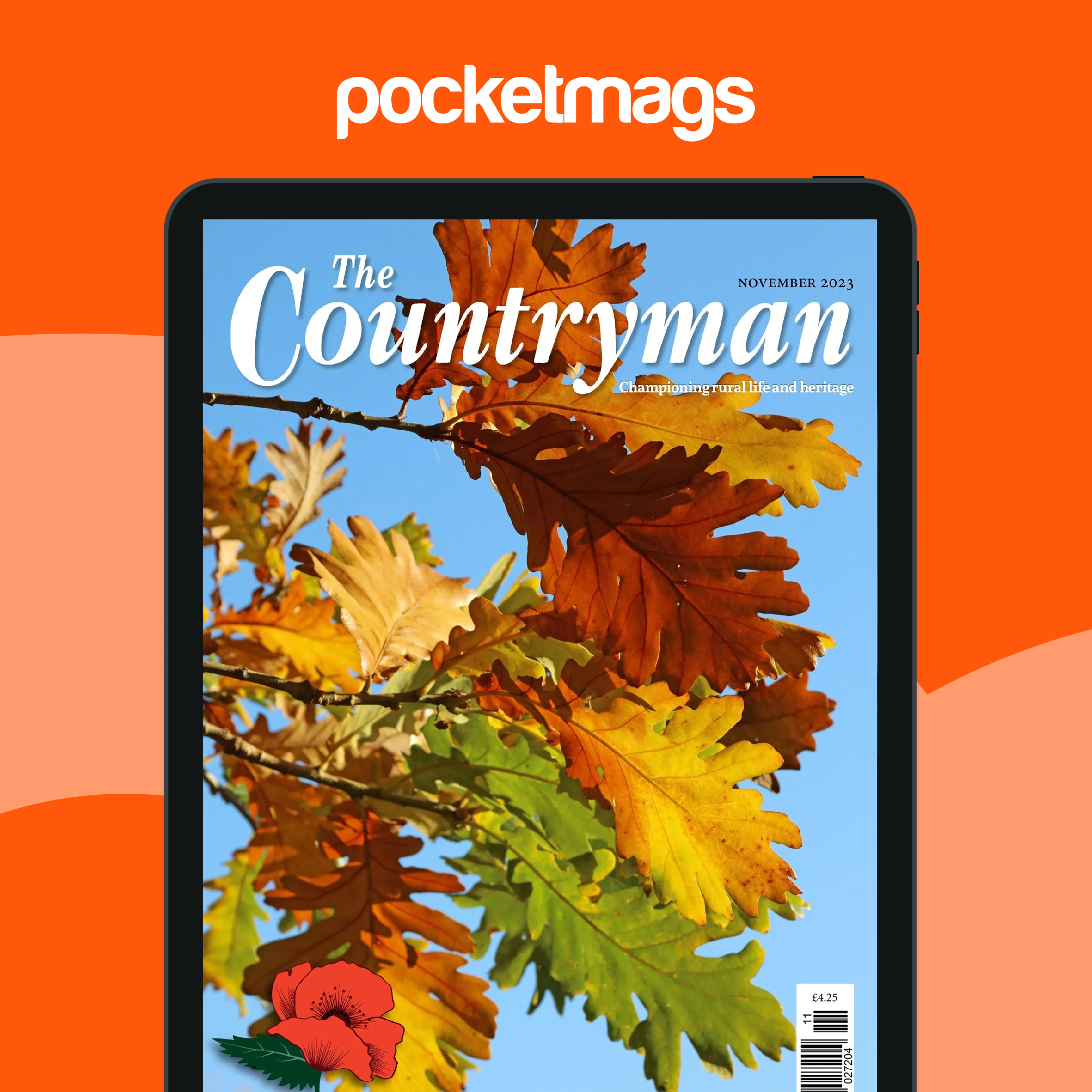 The Countryman Magazine Subscriptions and November 2023 Issue