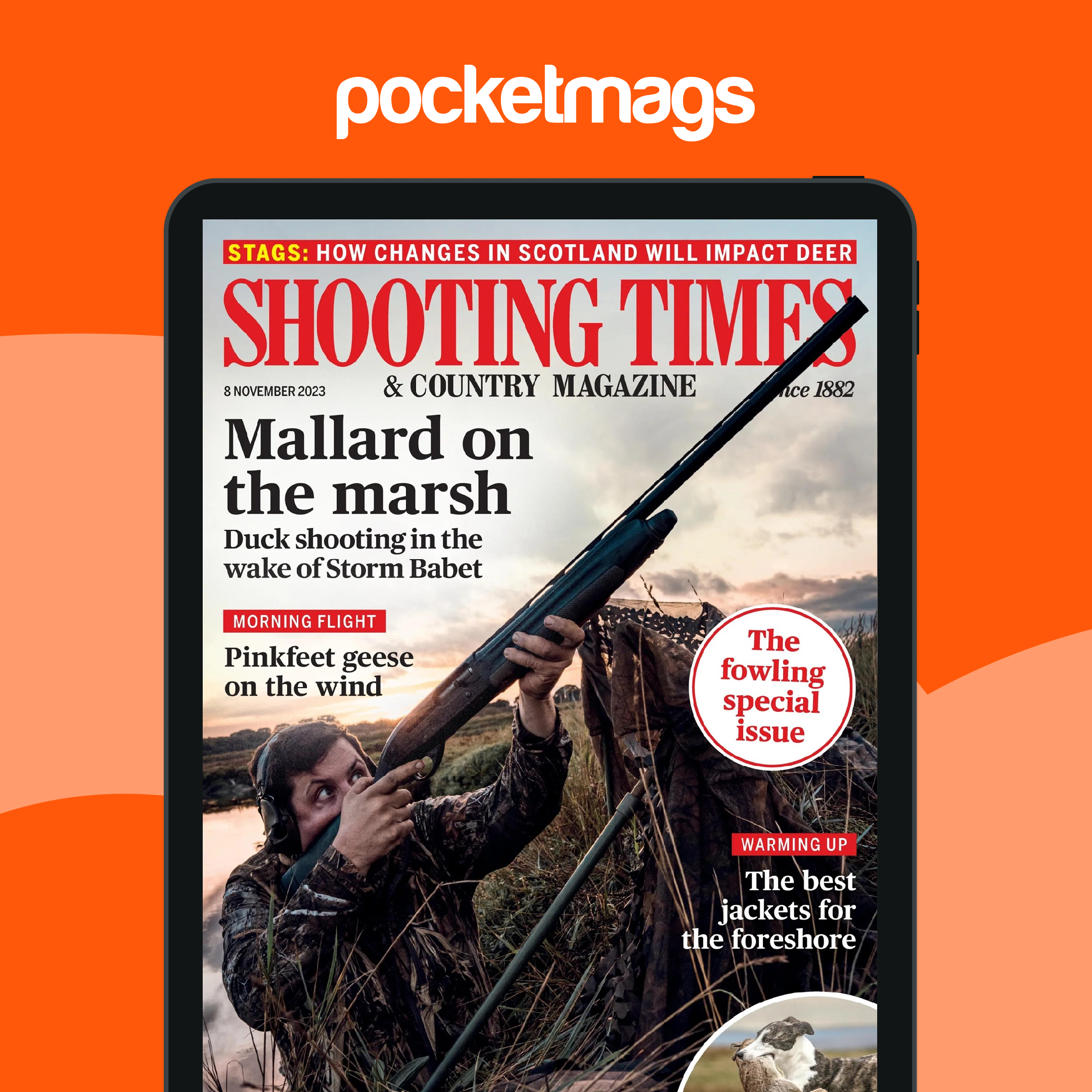 Shooting Times & Country Magazine - 8-Nov-2023 Back Issue