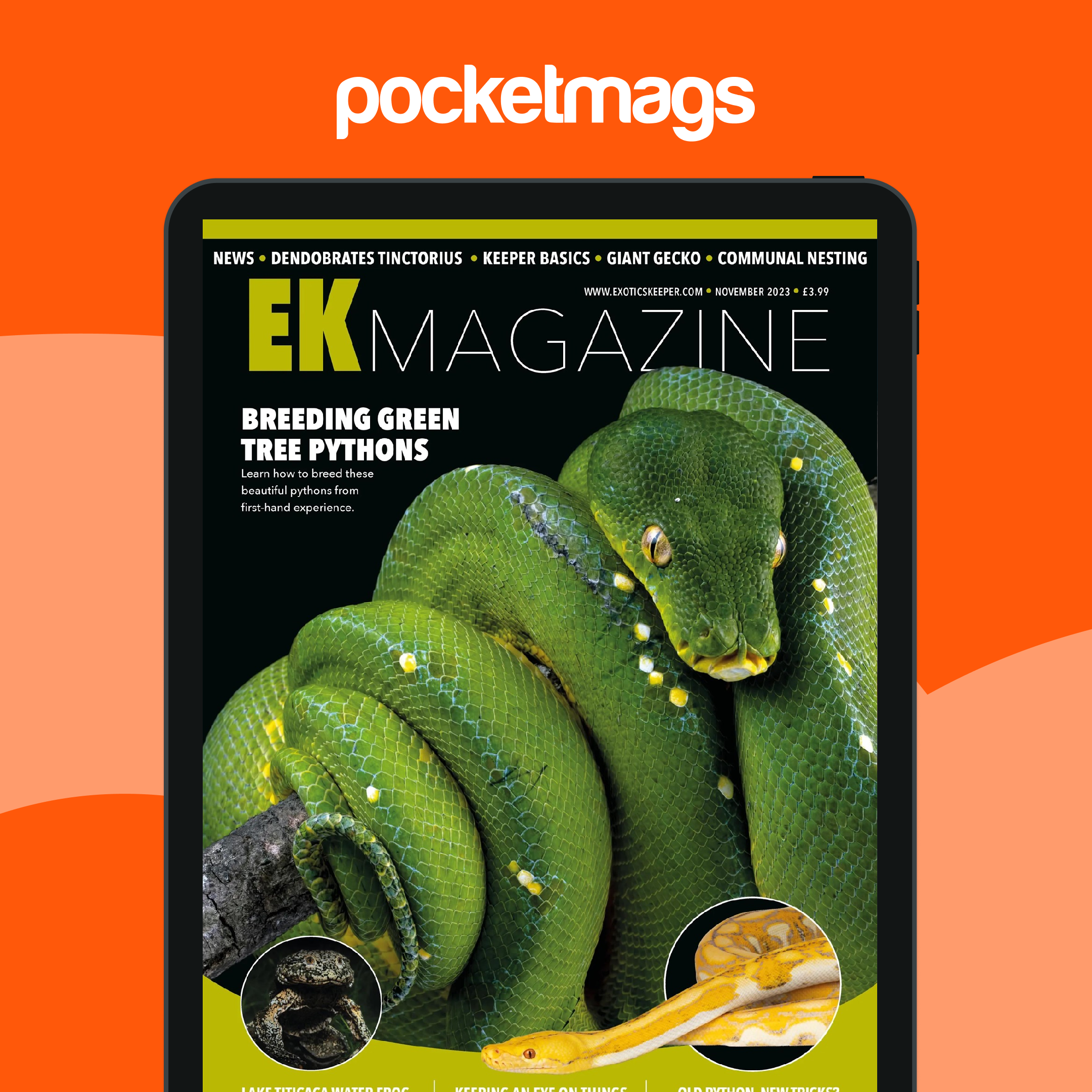 Exotics Keeper Magazine - November 2023 Back Issue