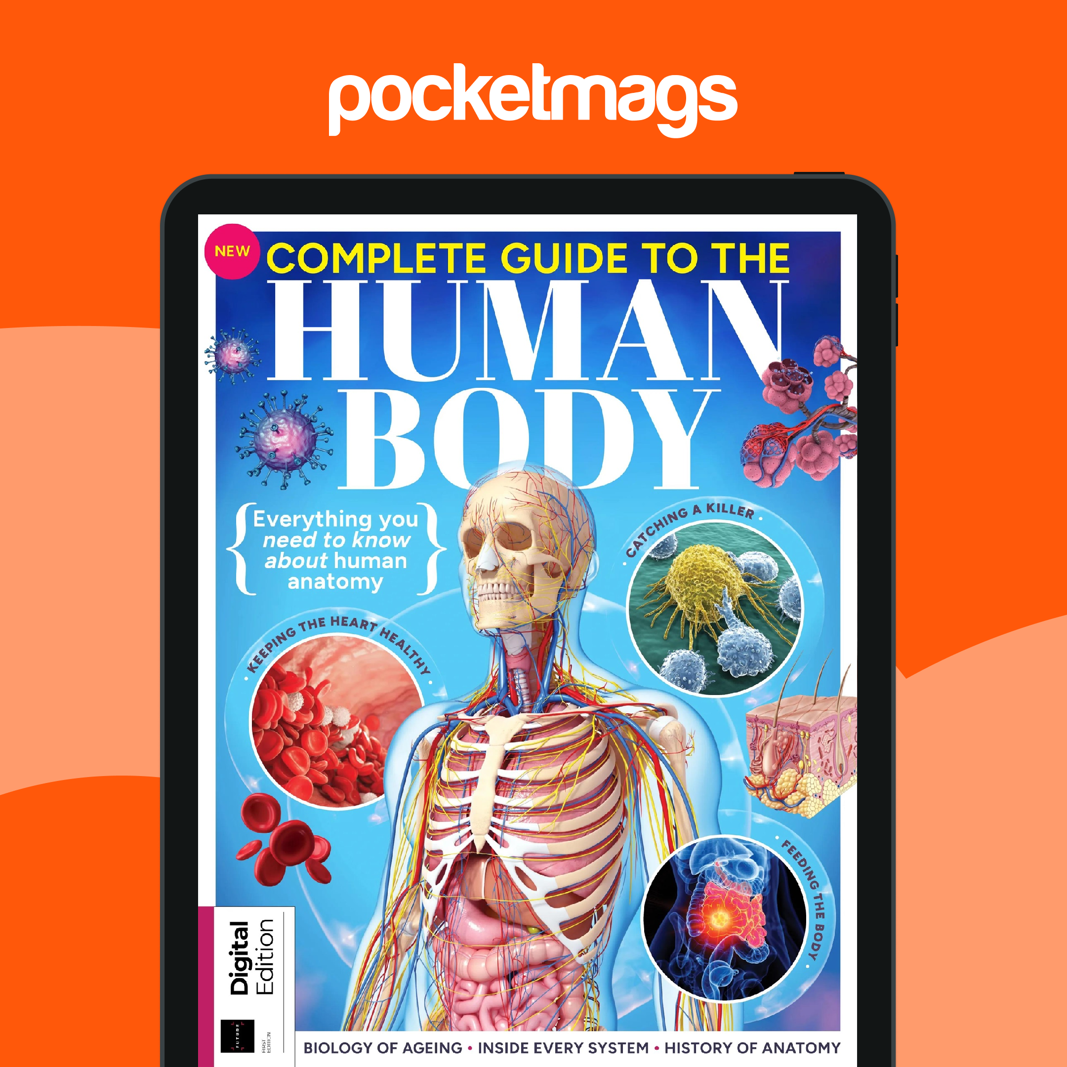 How It Works Bookazine - Complete Guide To The Human Body First Edition ...