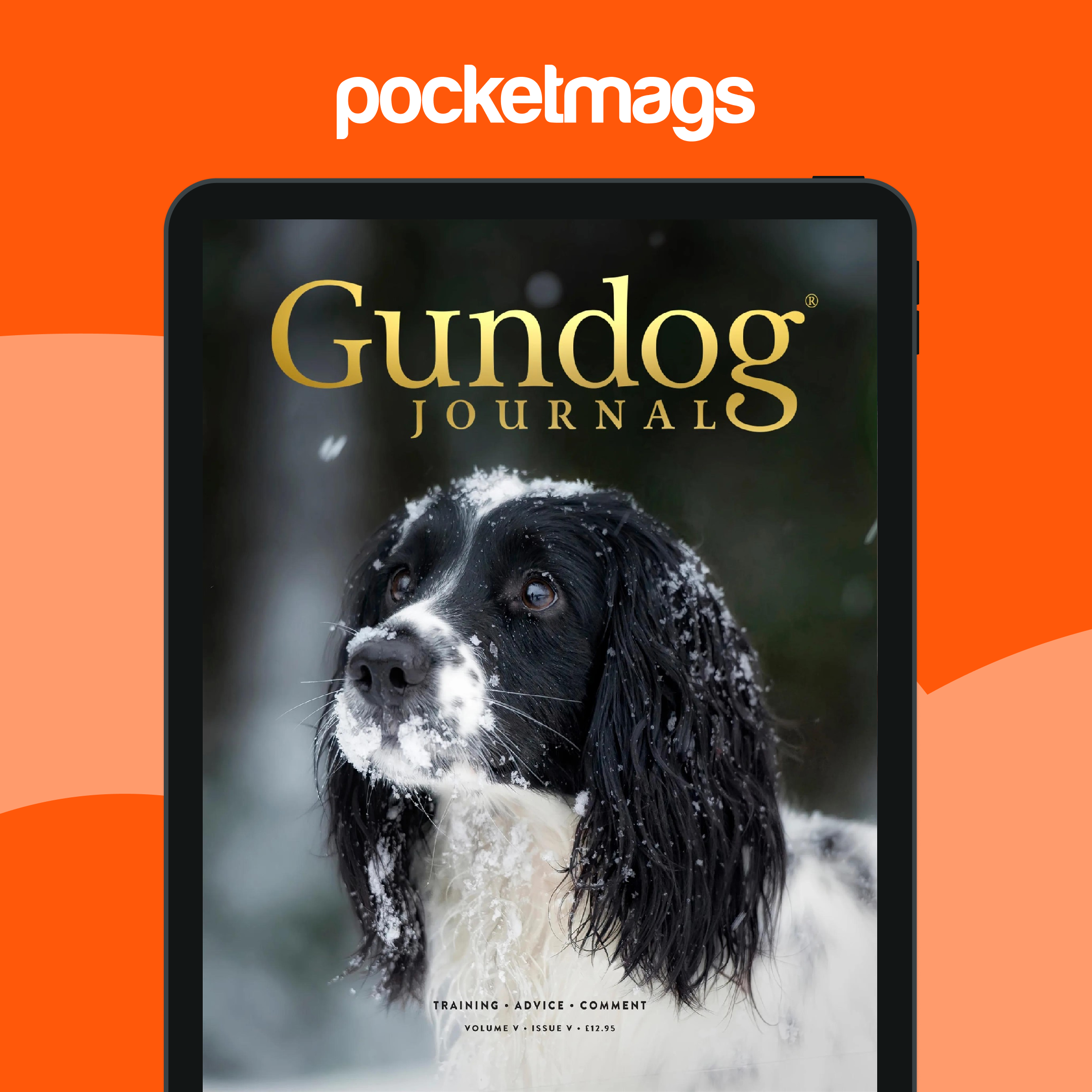 Gundog Journal Magazine - Volume V Issue V Back Issue