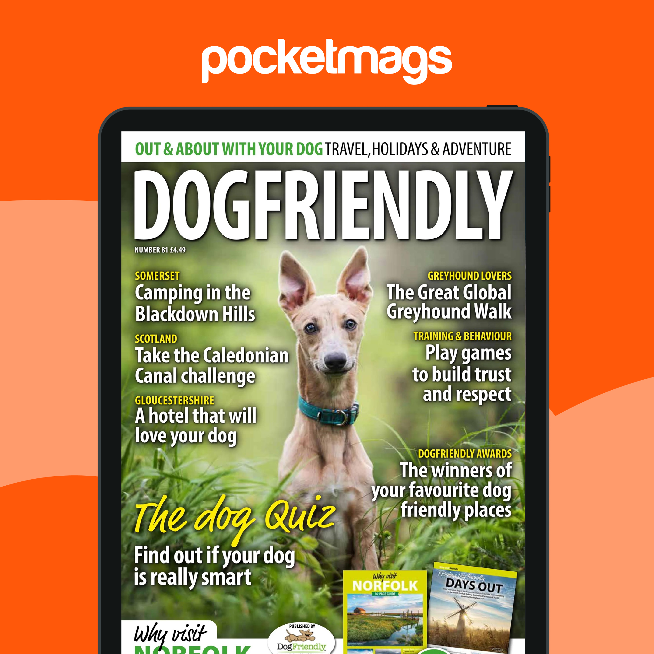 Dog Friendly Magazine - Jan-Feb 24 Back Issue