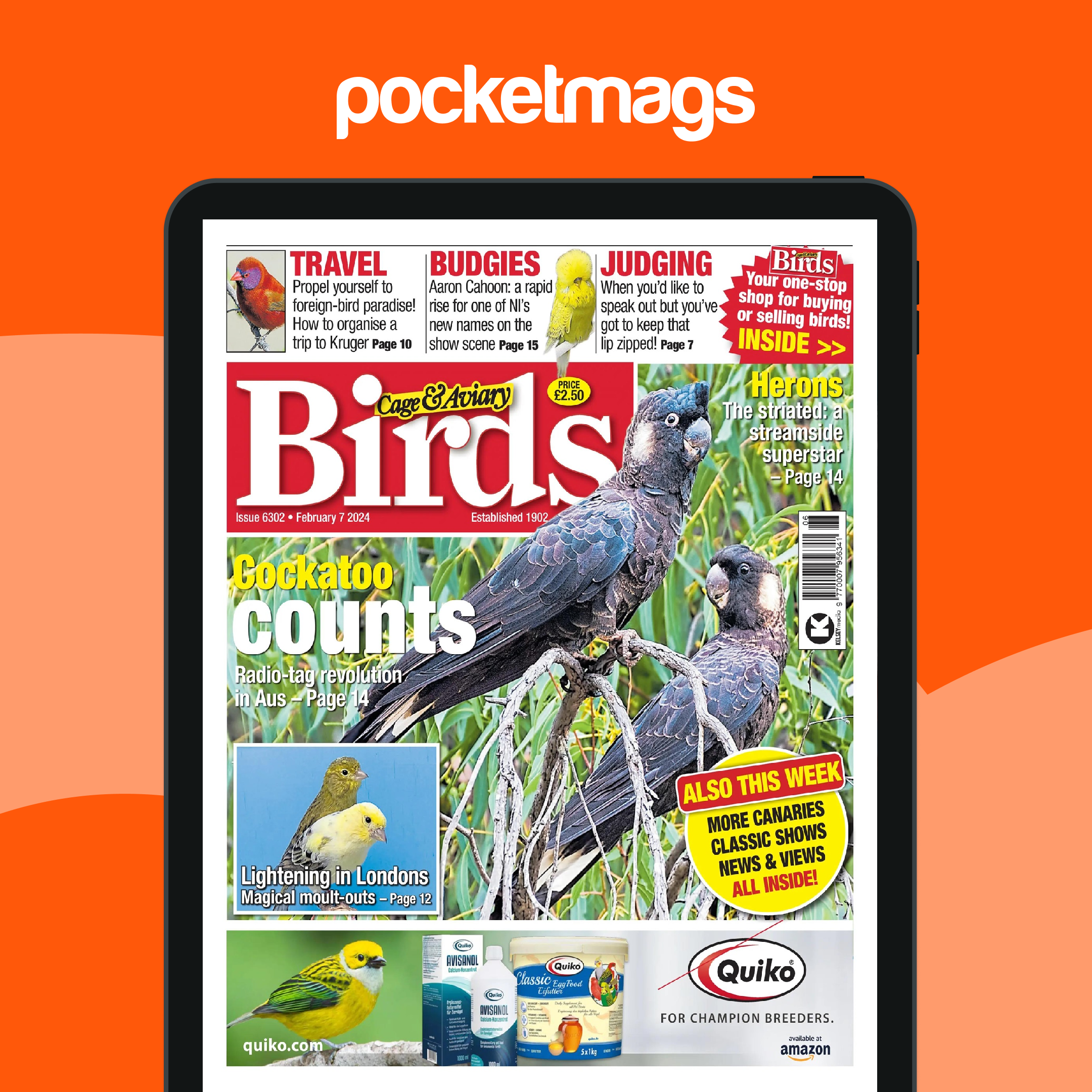 Cage & Aviary Birds Magazine - 7-Feb-24 Back Issue