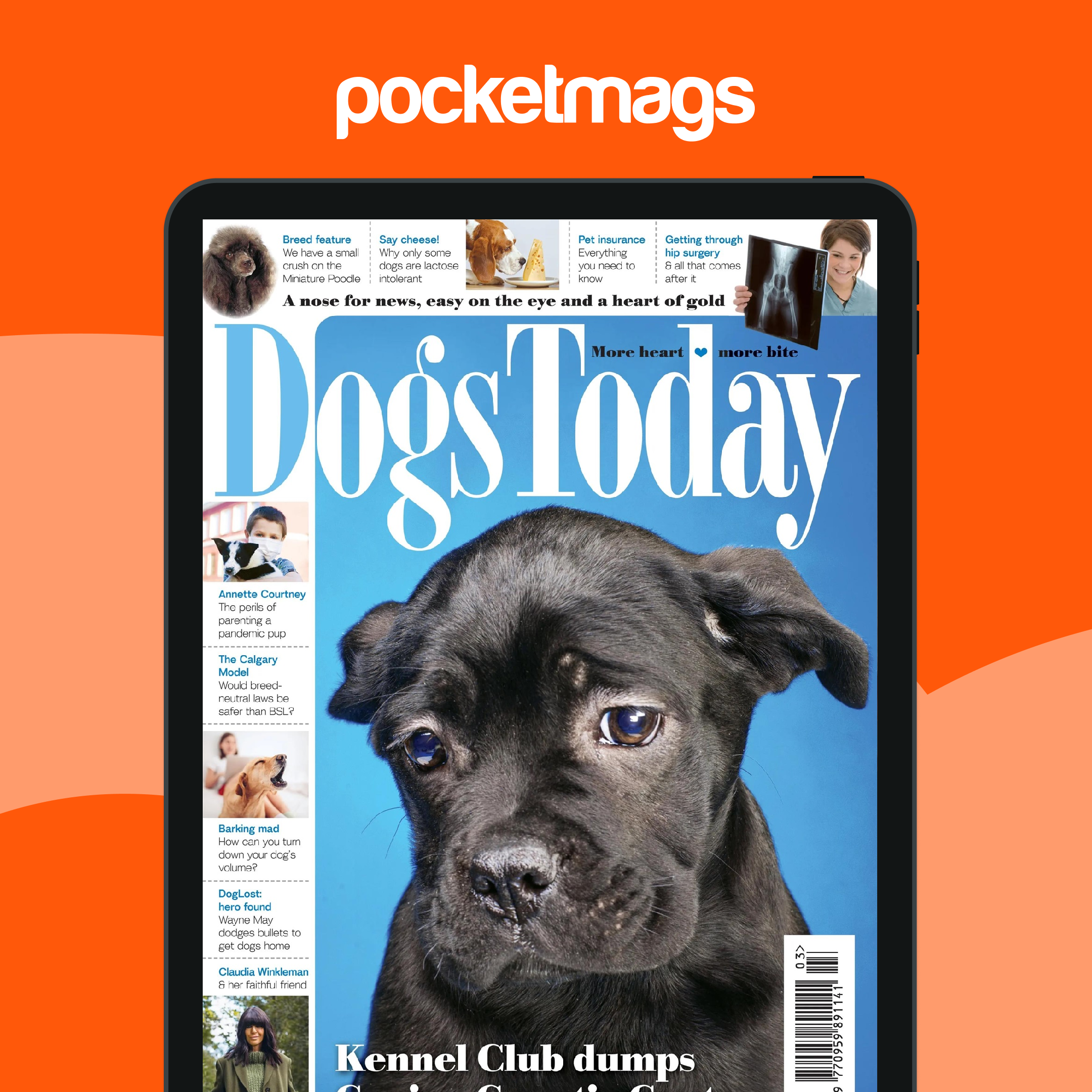 Dogs Today Magazine - March 2024 Back Issue